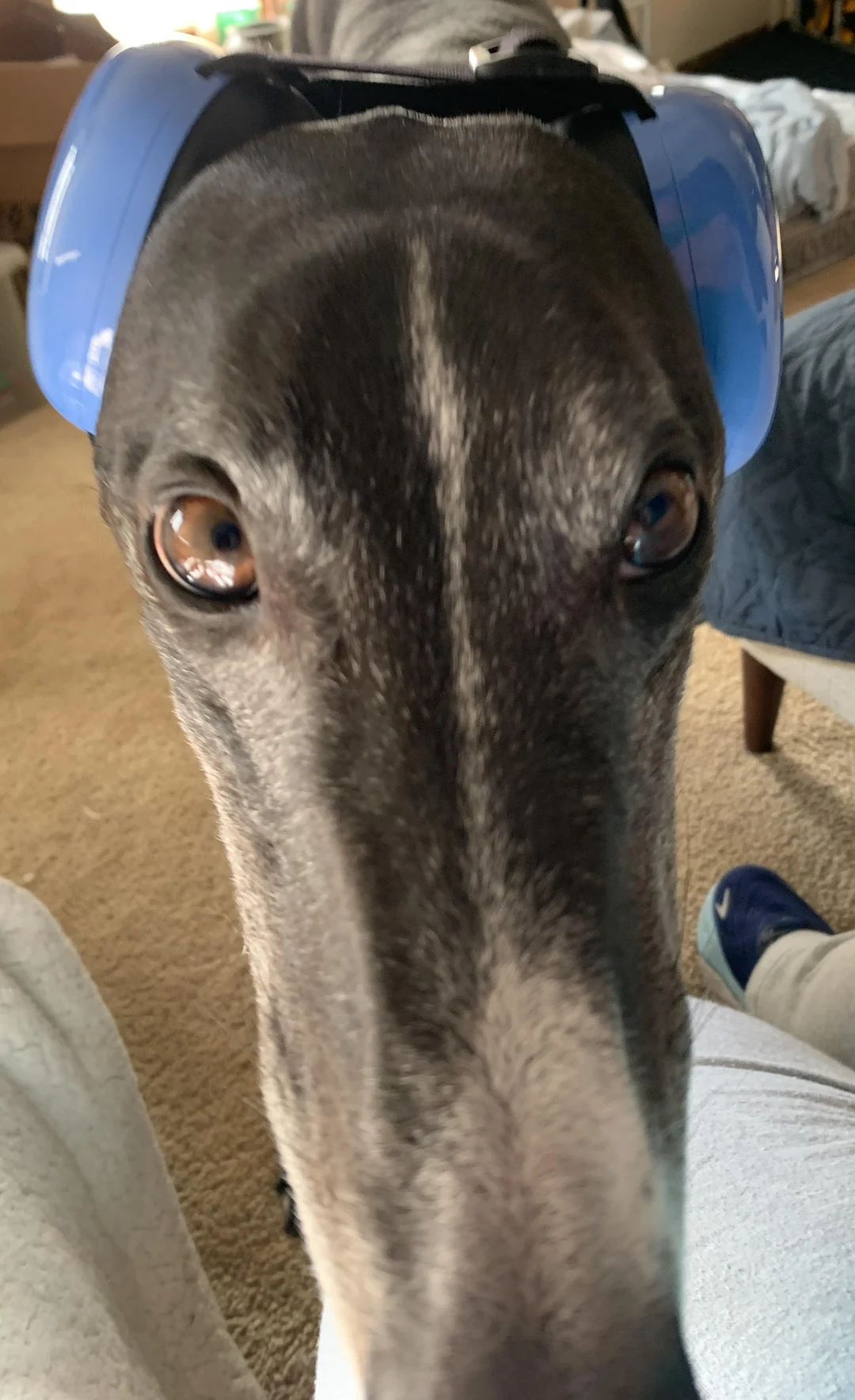 Ready for thunder | Scrolller