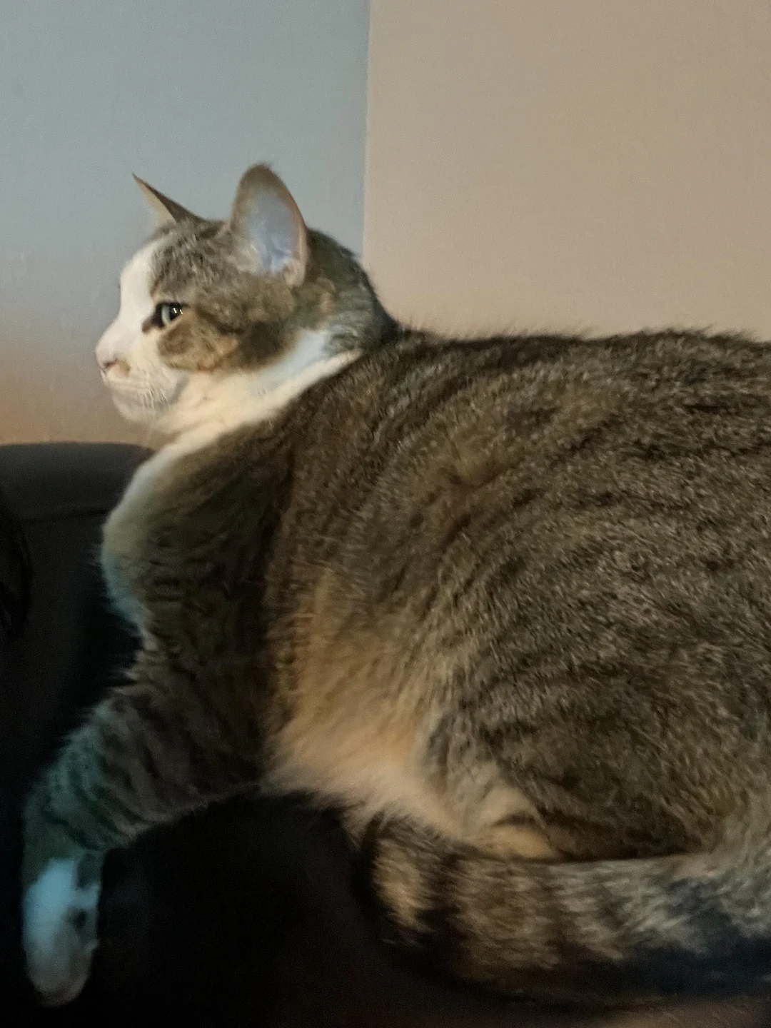 Oh lawd she loaf | Scrolller