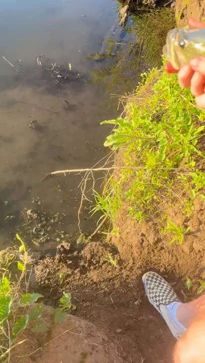 Beautiful release for a beautiful fish | Scrolller