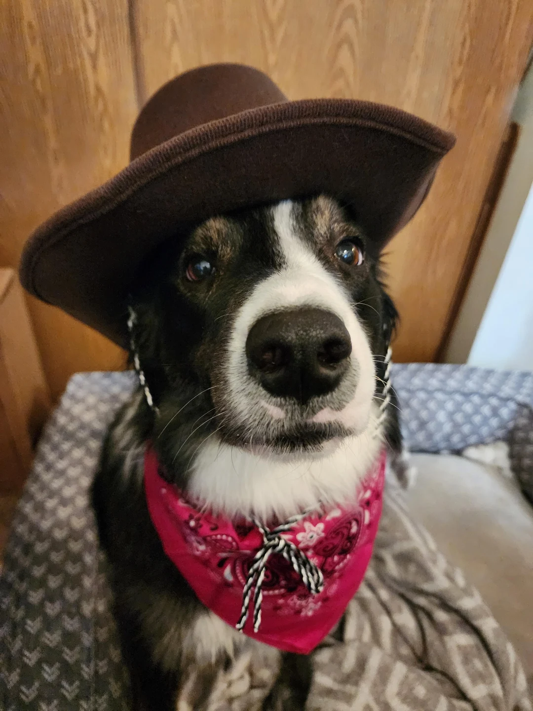 My Cowgirl | Scrolller