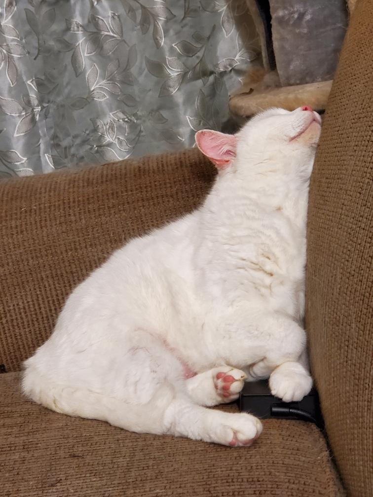 This can't be comfortable. | Scrolller