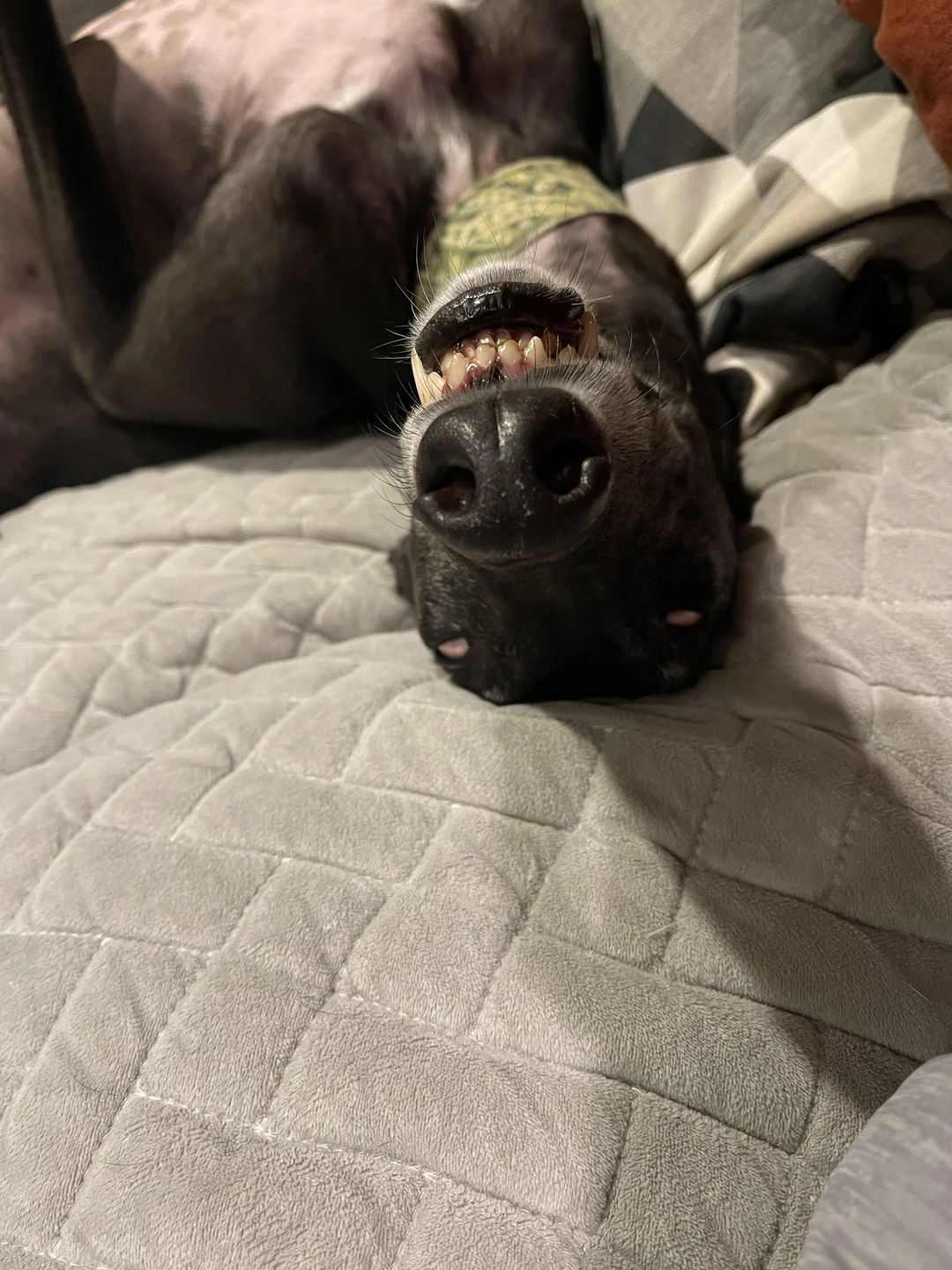 Total relaxation | Scrolller