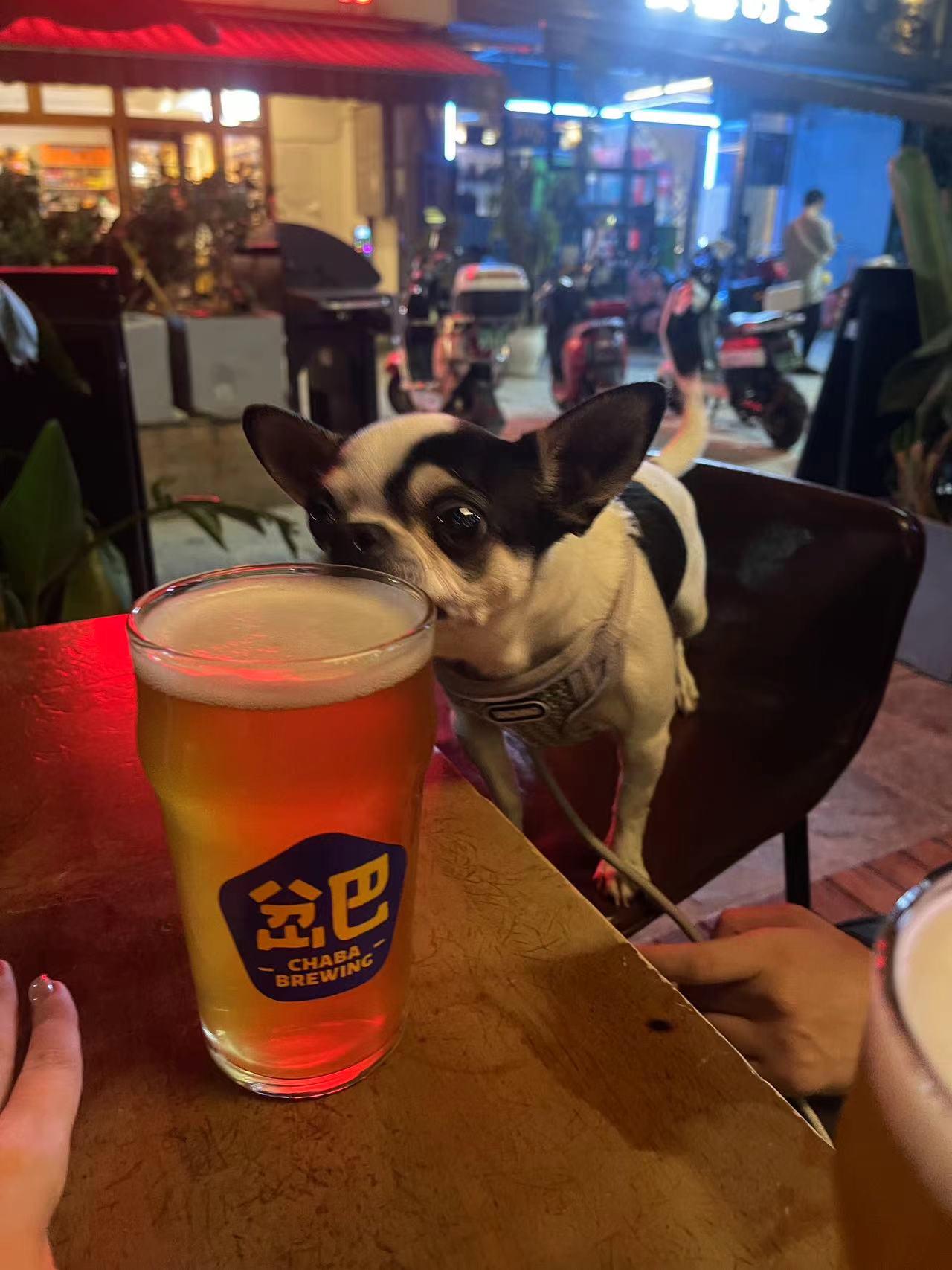 Whatever I Have, Dobby Wants | Scrolller