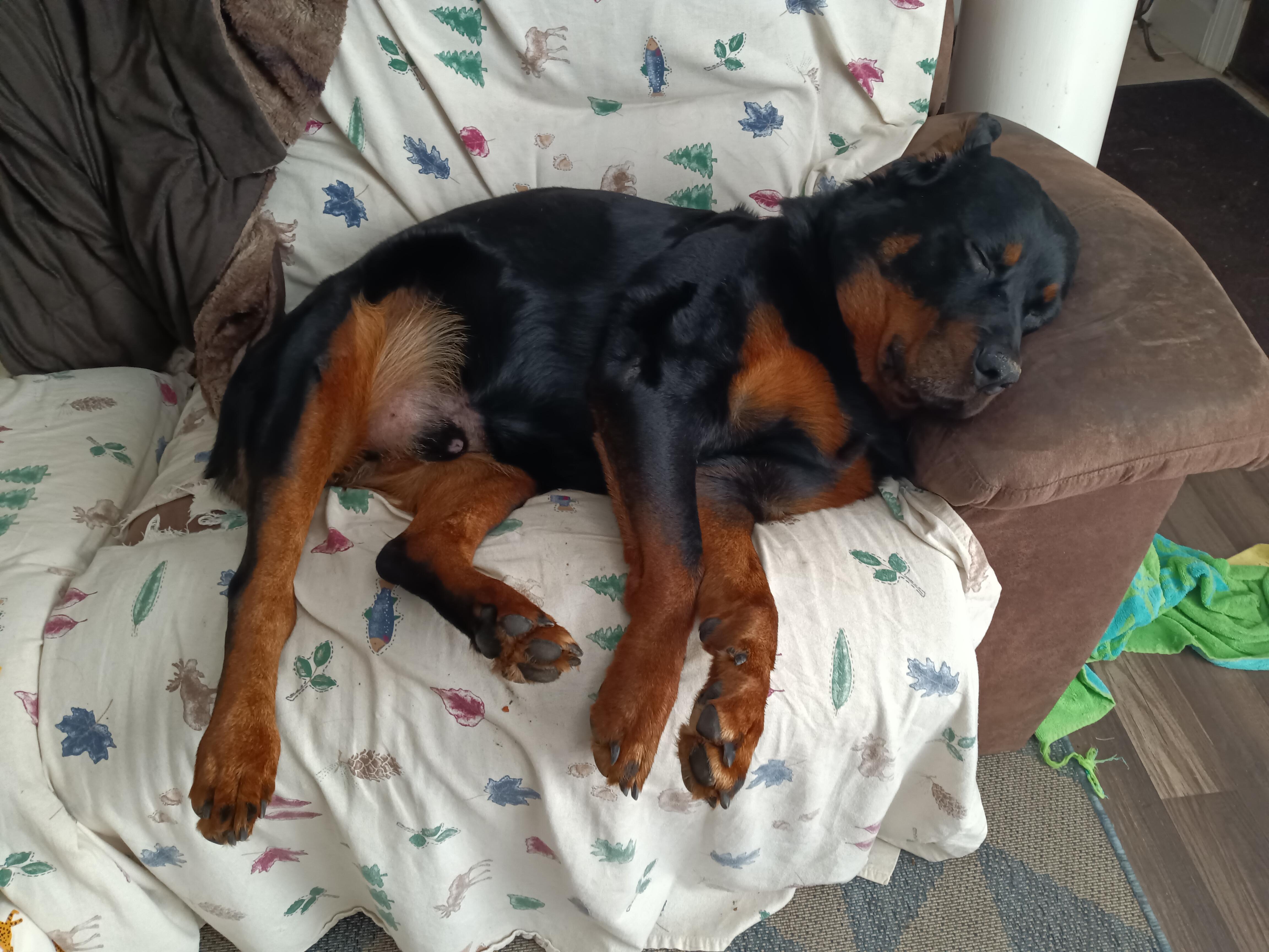 Sleeping beauty aka Hercules | Scrolller