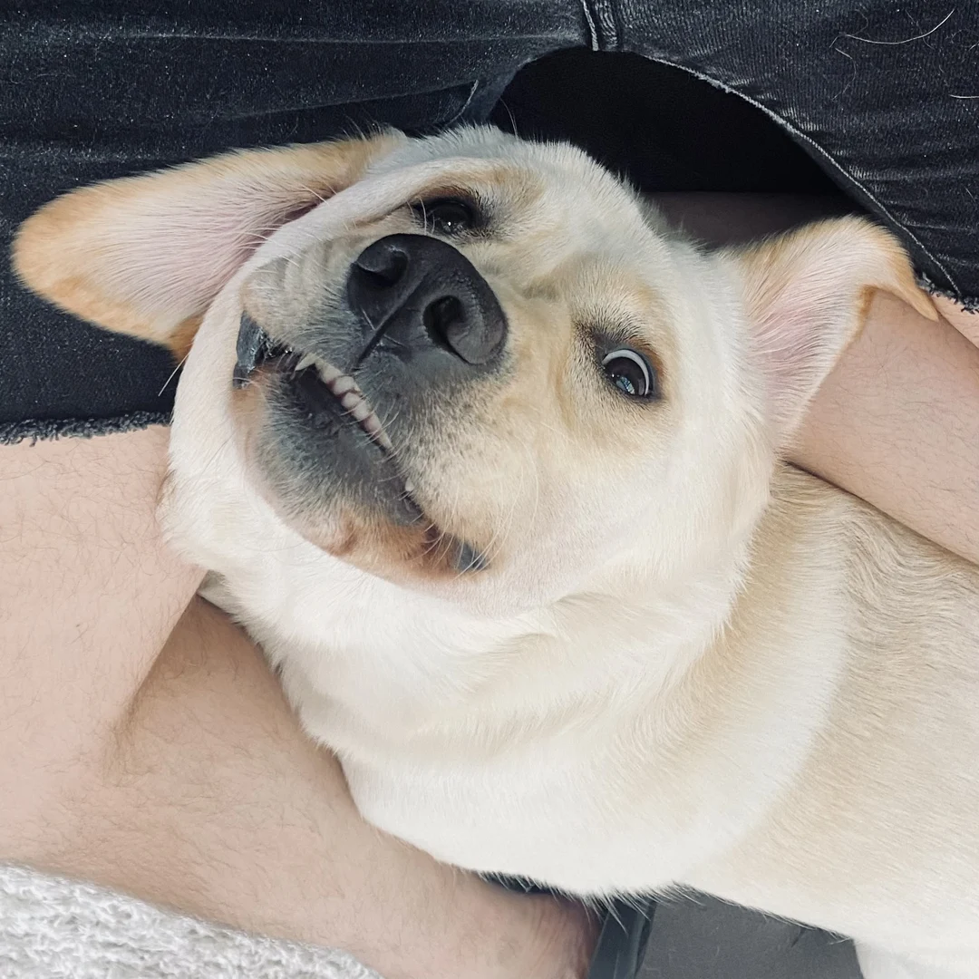 confusing perspective or just confused? 🙃 | Scrolller