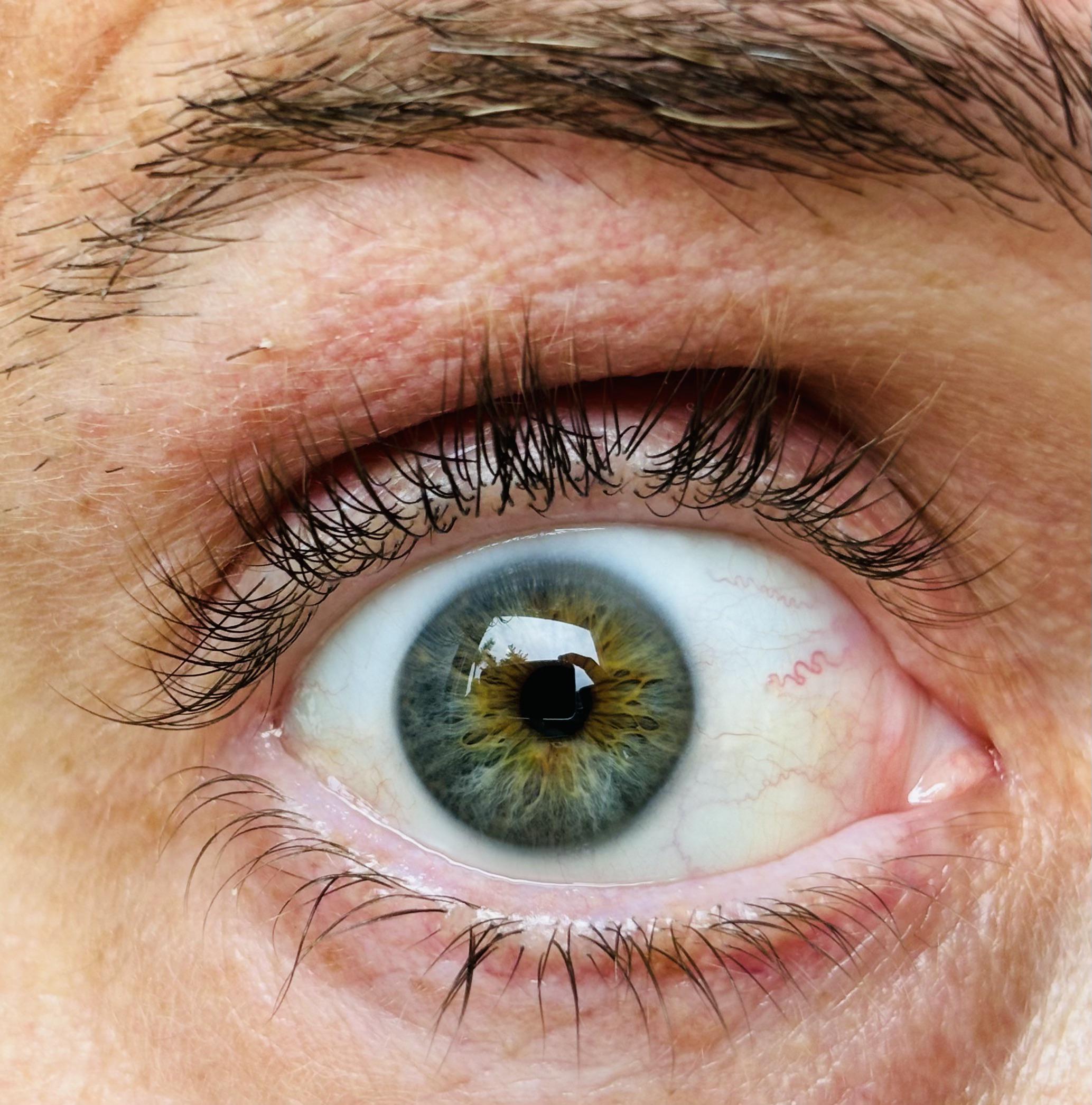 Discover more like Eyes: Always considered my eyes Hazel what do you think? and Related Content ...