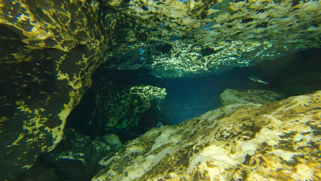 Diving into 2022 head first… | Scrolller