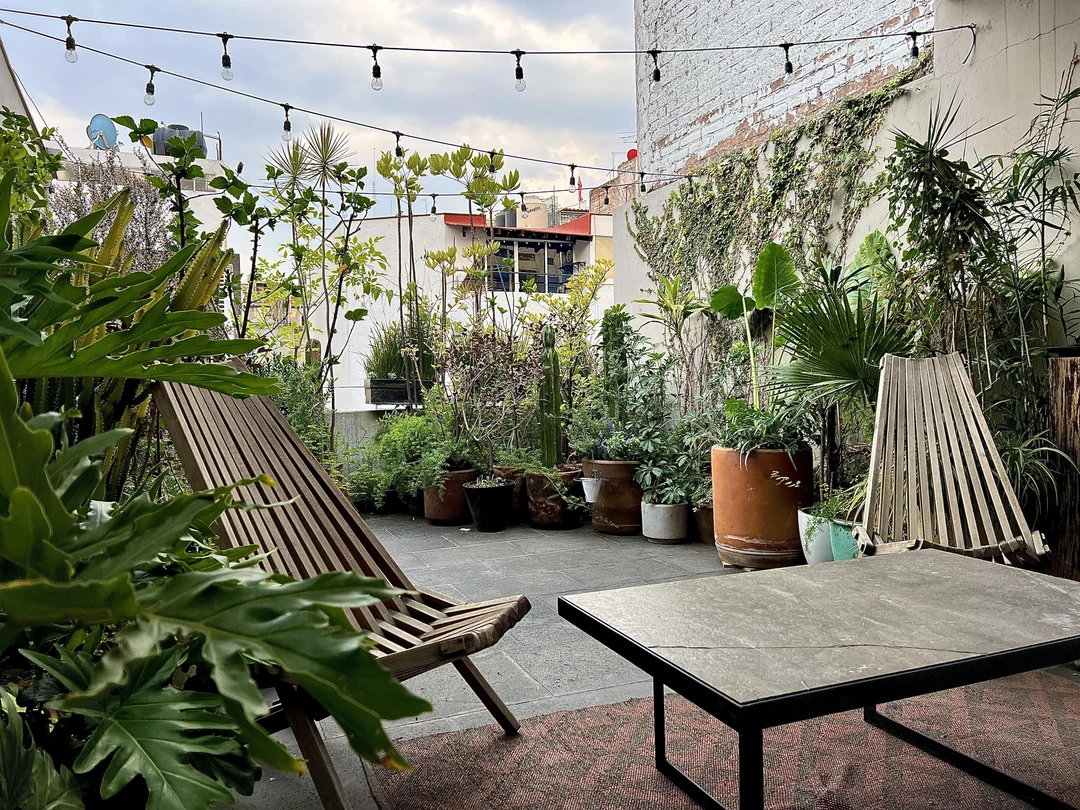 My Airbnb in CDMX | Scrolller