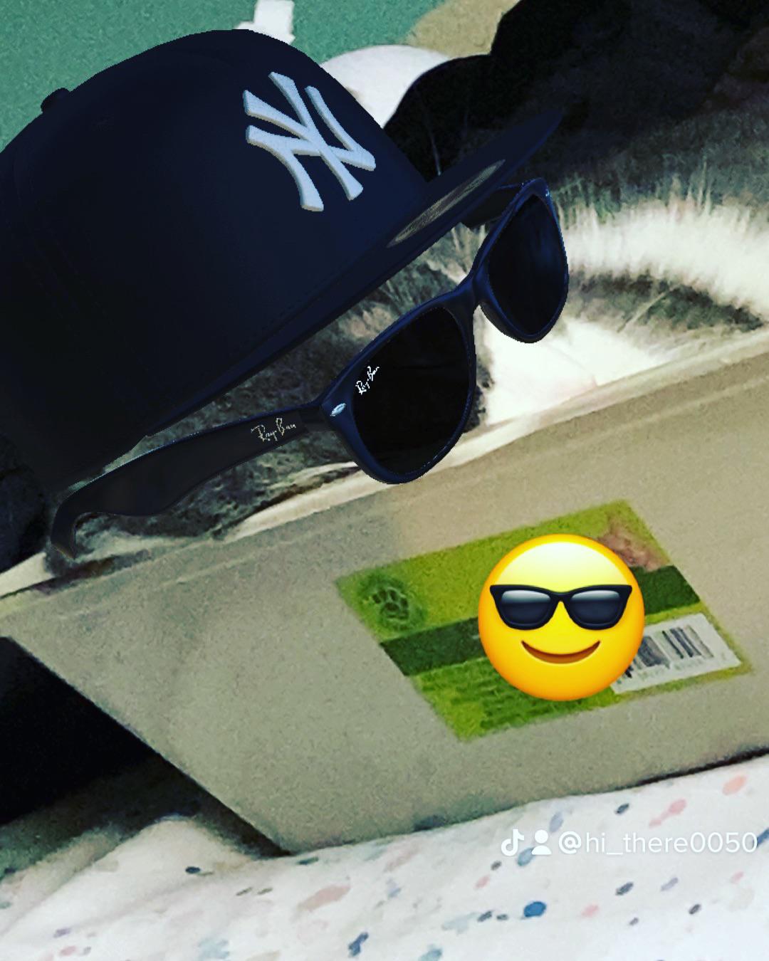 Muffin being cool because she can | Scrolller