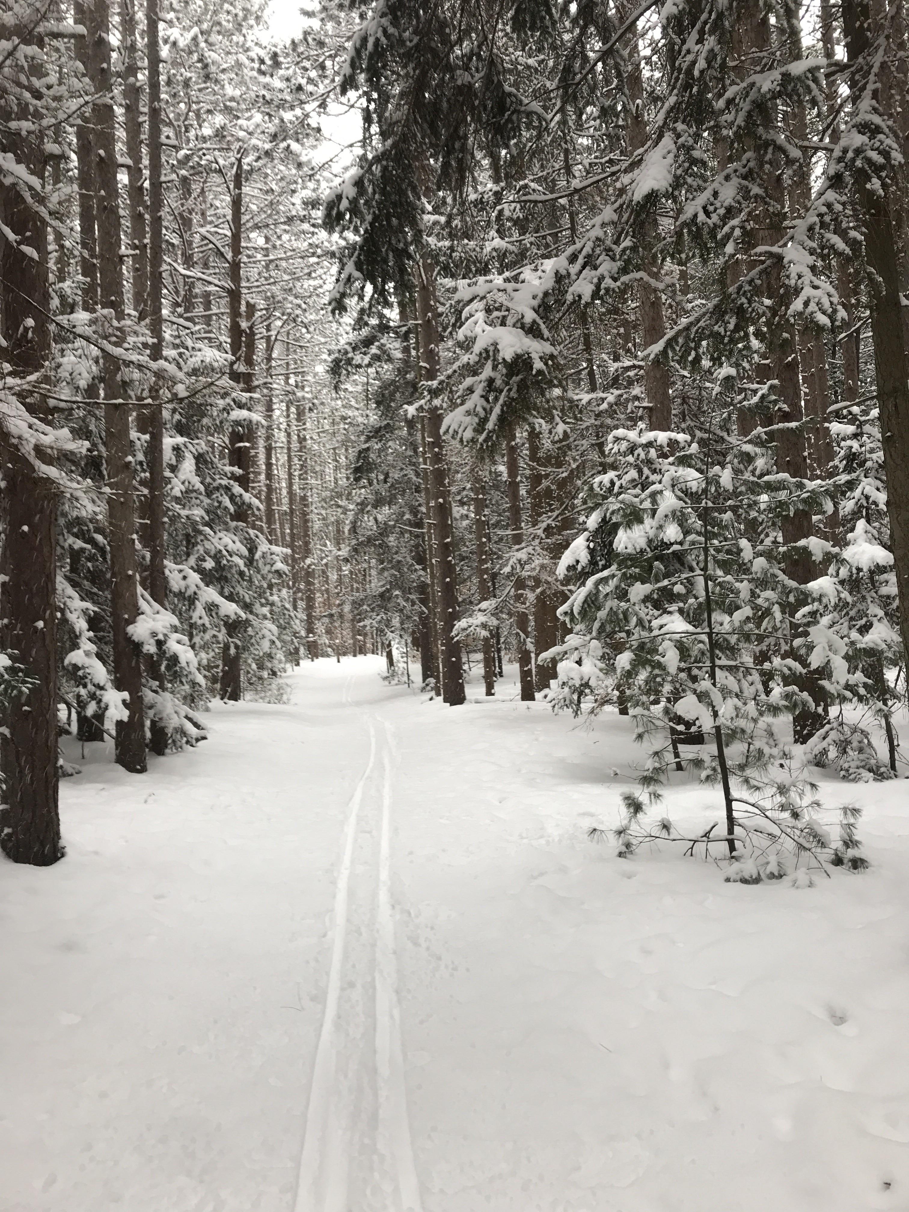 Ah Winter Bliss, Fresh Snowfall | Scrolller