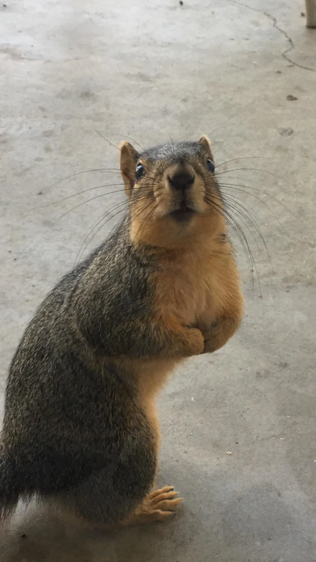 This is Ruby | Scrolller