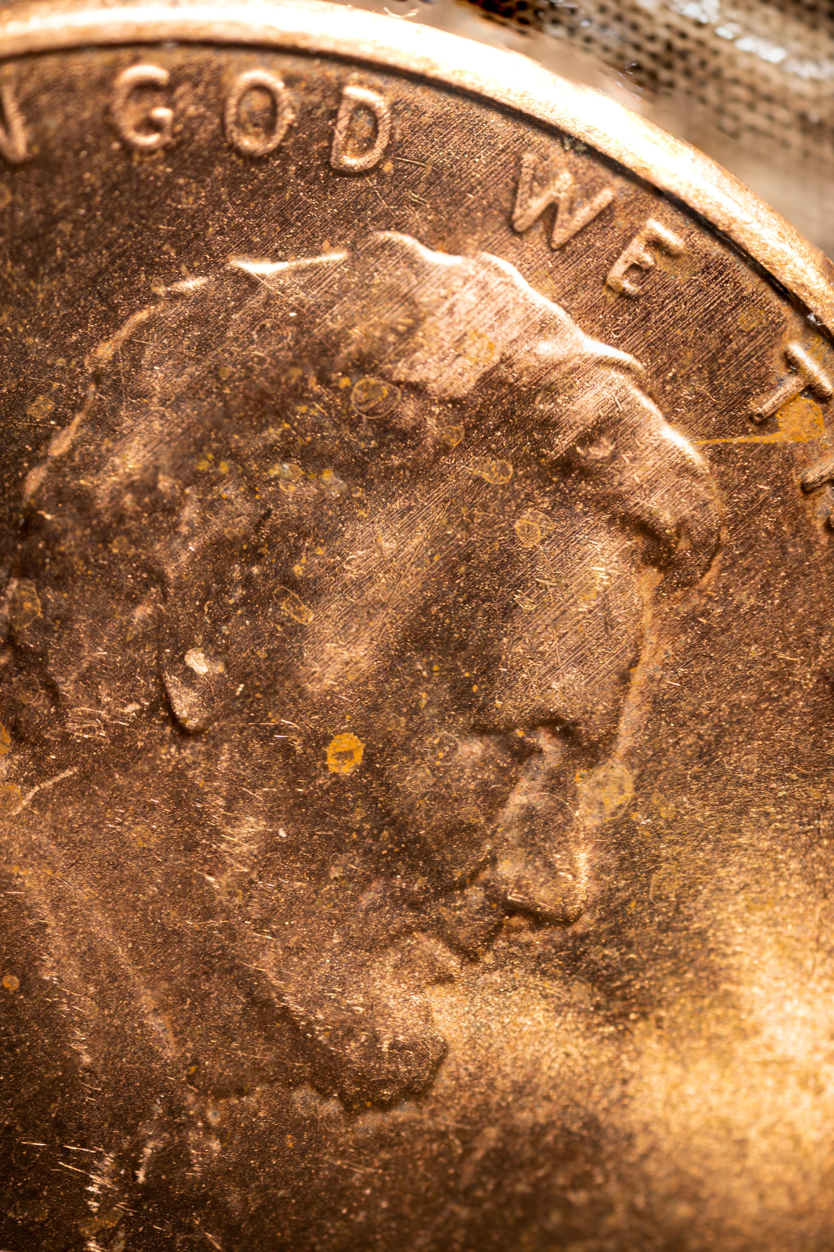 Very first try at a focus stack with my new super macro lens. | Scrolller