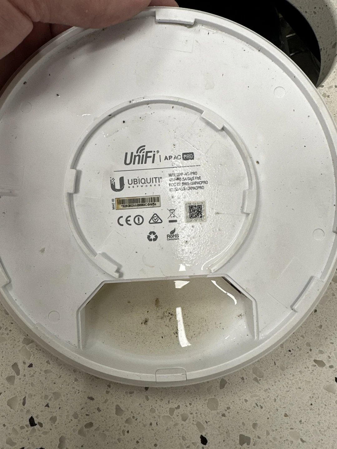 I think she’s dead! | Scrolller