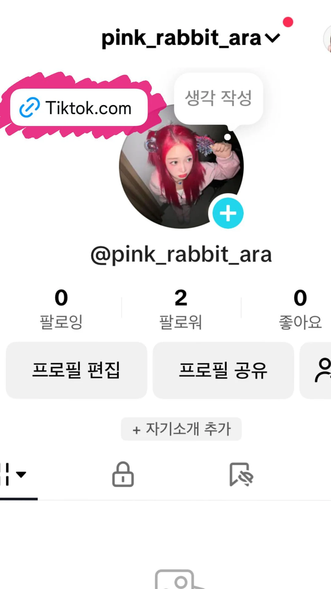 ILY:1 Ara has opened a TikTok account | Scrolller