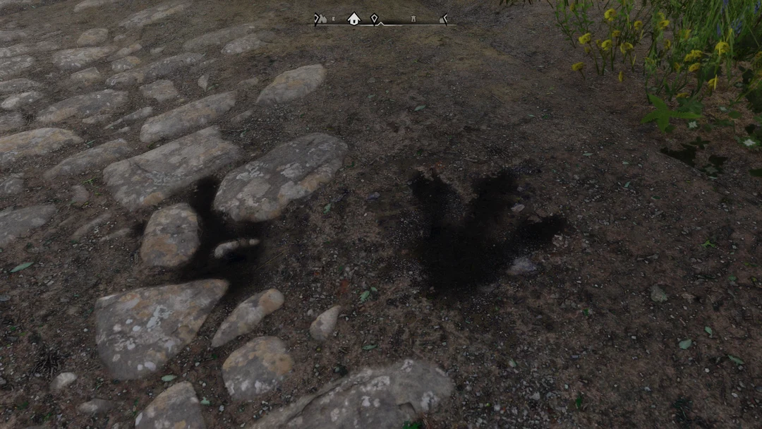 Did you know Dragons leave footprints where they landed ? | Scrolller