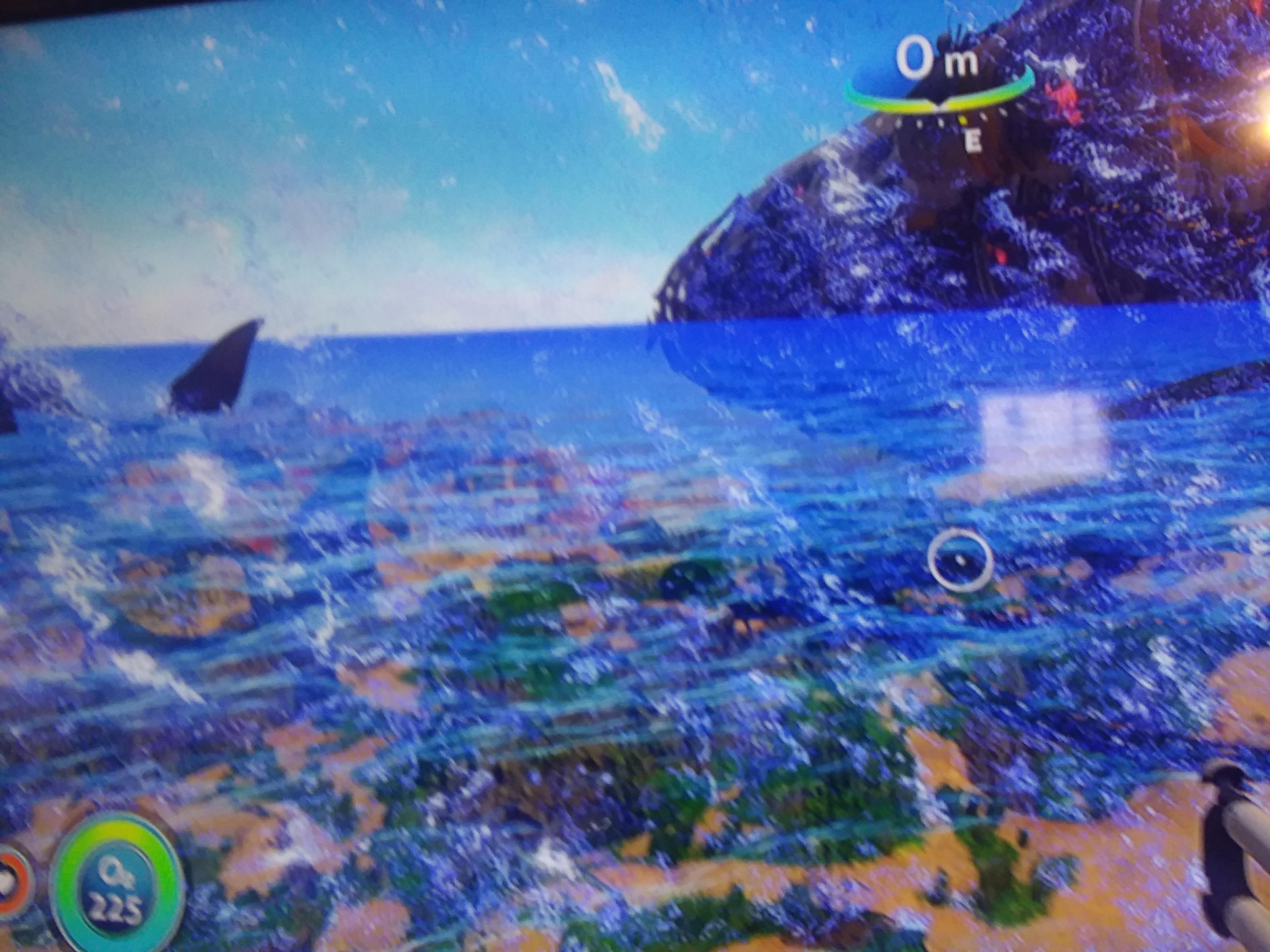 I know the image sucks but I spawned in 2 sea dragons | Scrolller