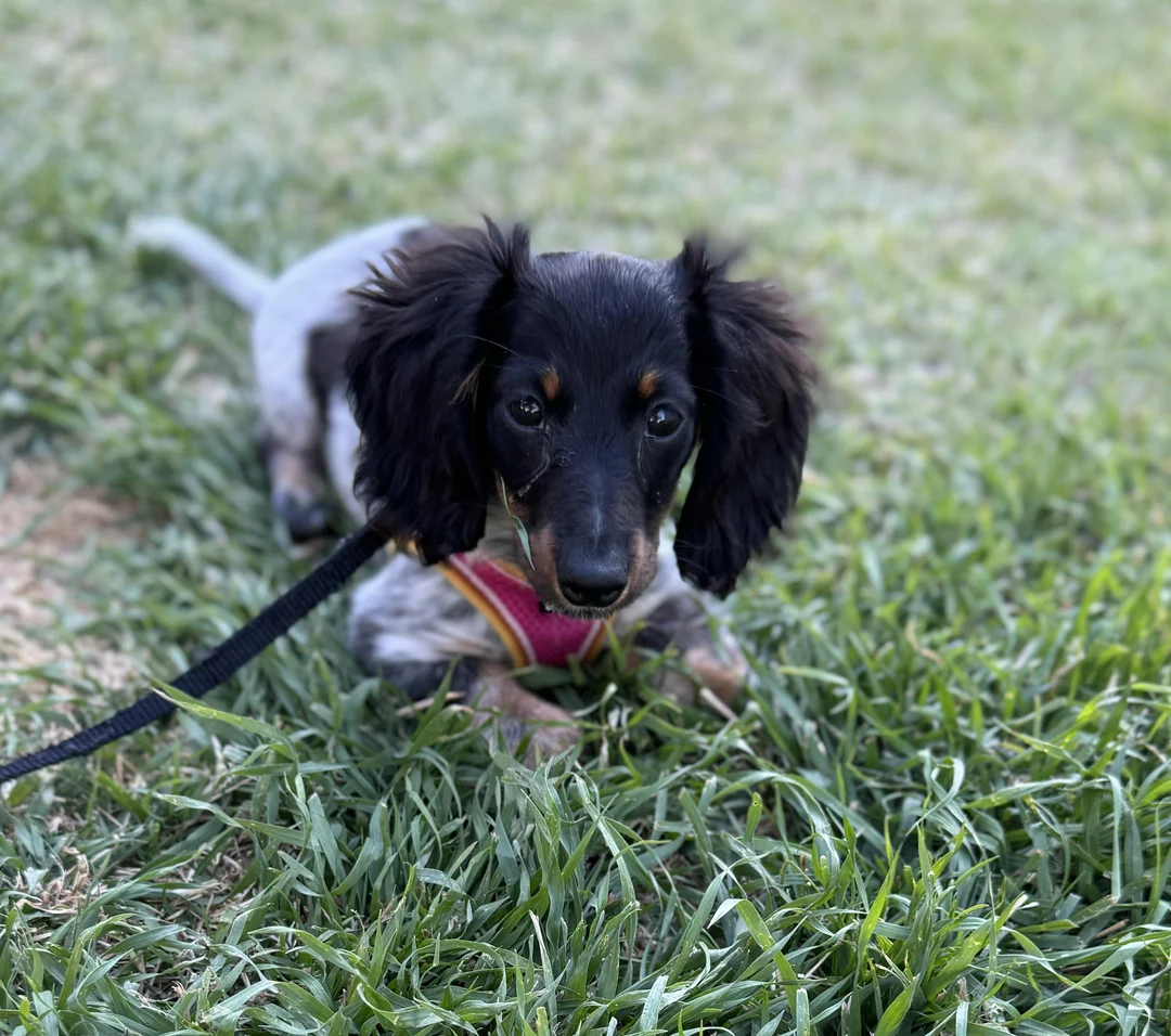 Miss Winnie | Scrolller