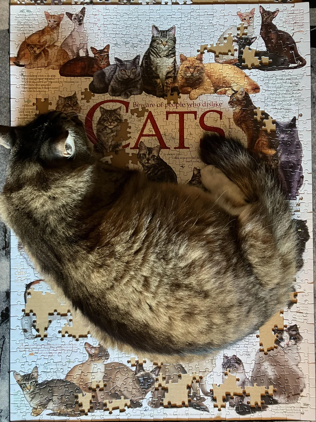 Puzzling | Scrolller