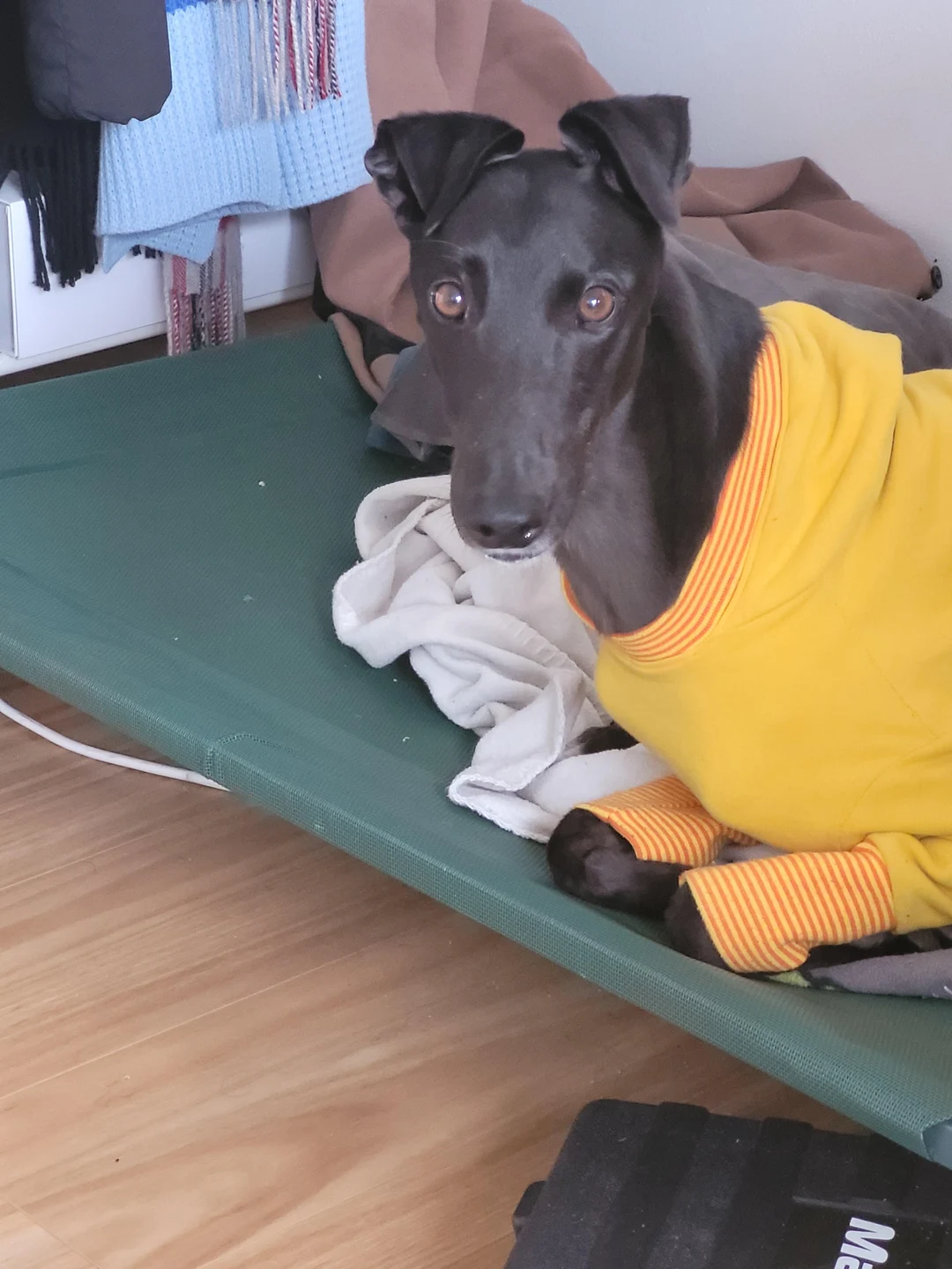 POV: You're holding nail clippers | Scrolller