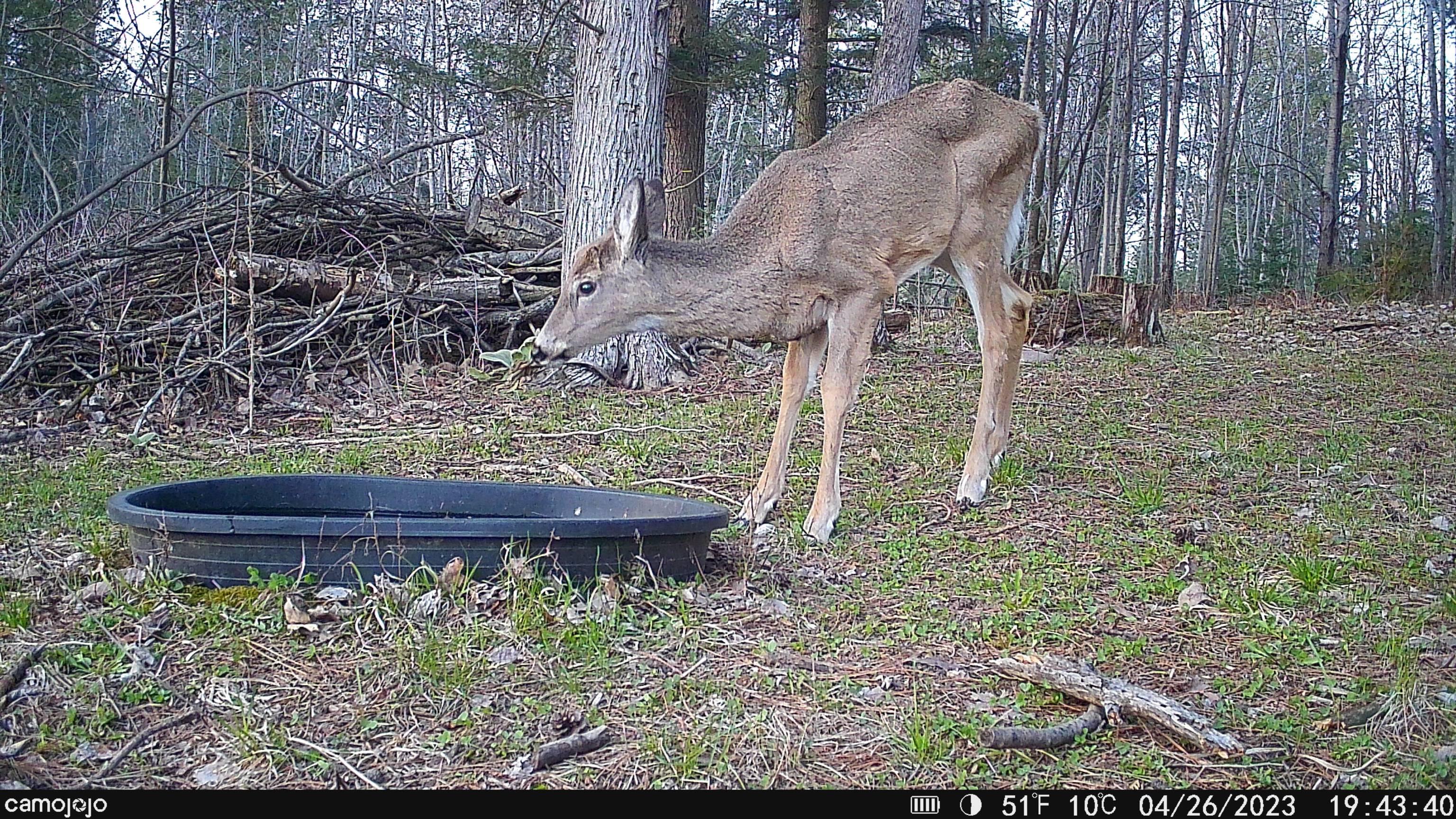 Solid abdominal fortitude | Scrolller