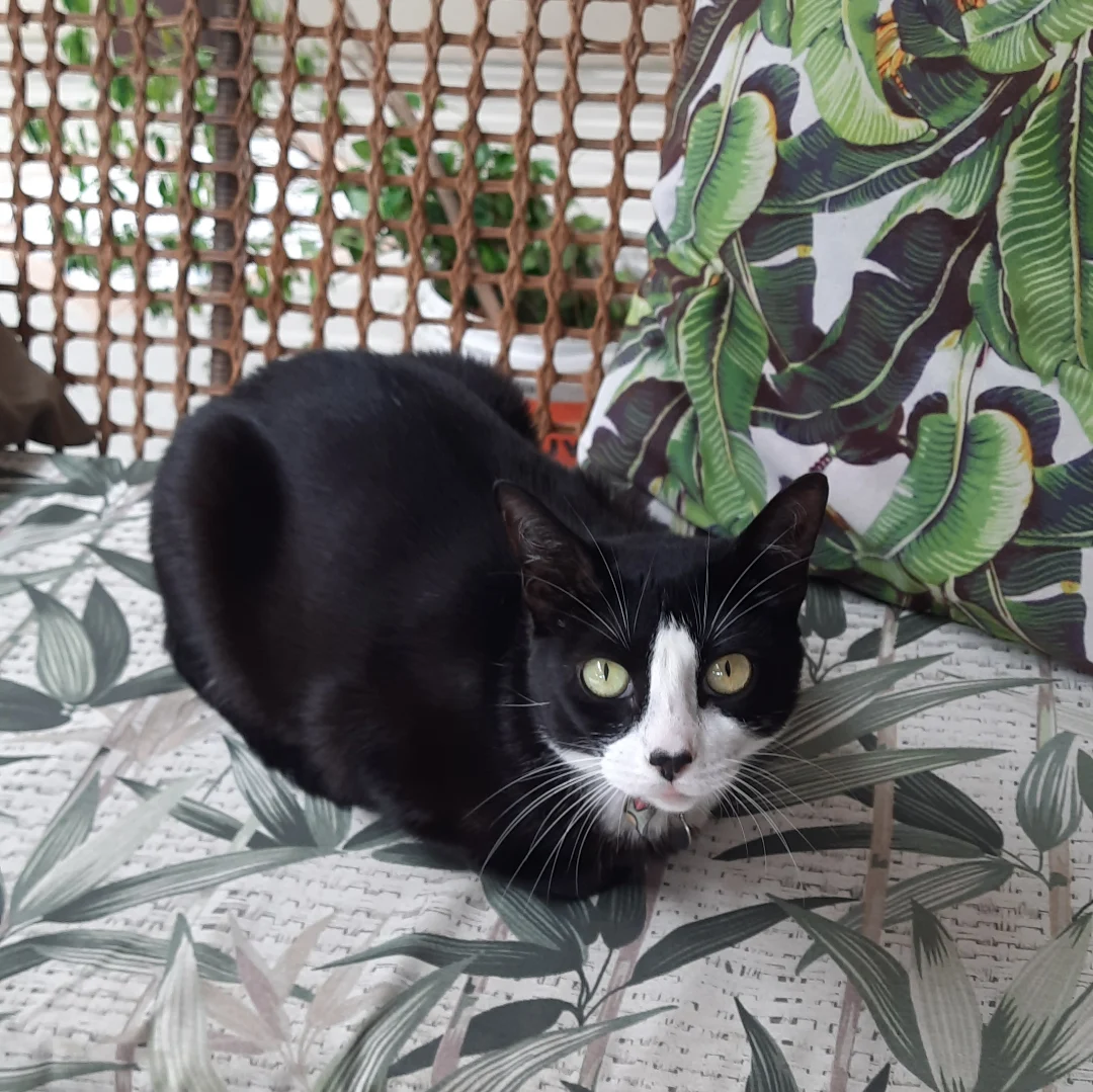 She's usually running around or destroying stuff, so it's nice to catch her just loafing and ...