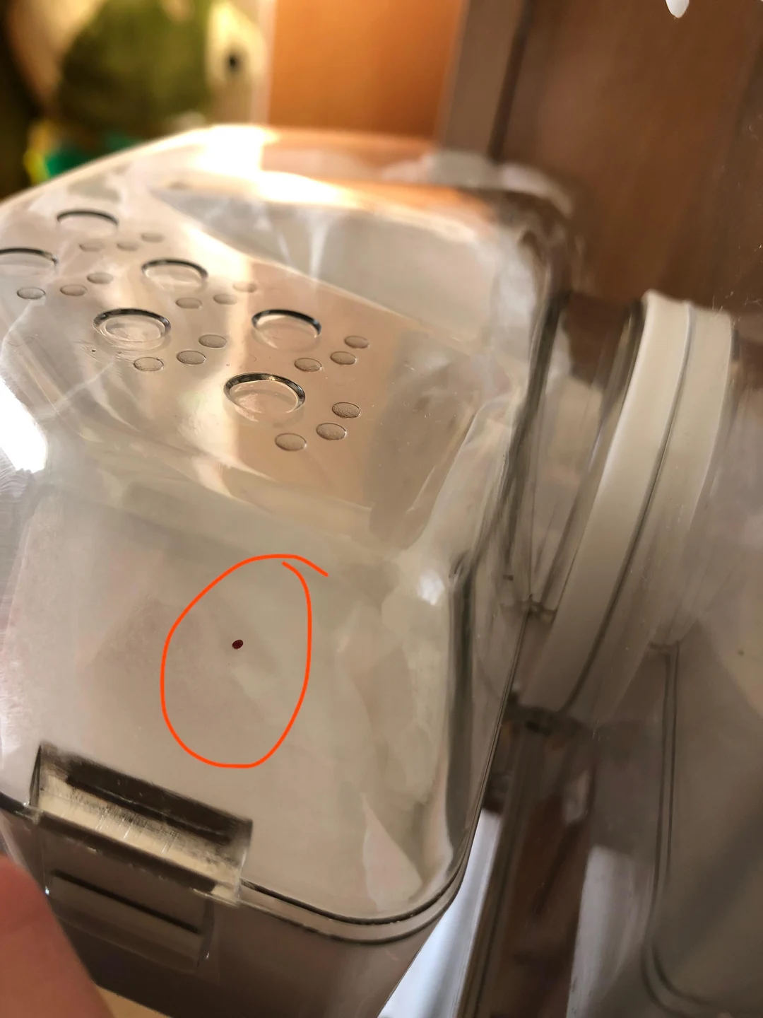 red bugs | Scrolller