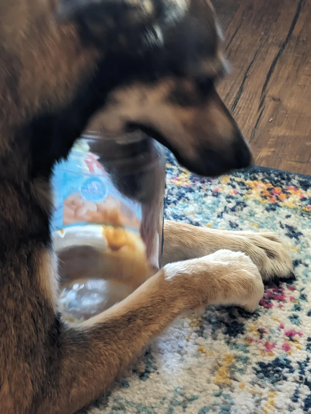 No peanut butter left behind | Scrolller