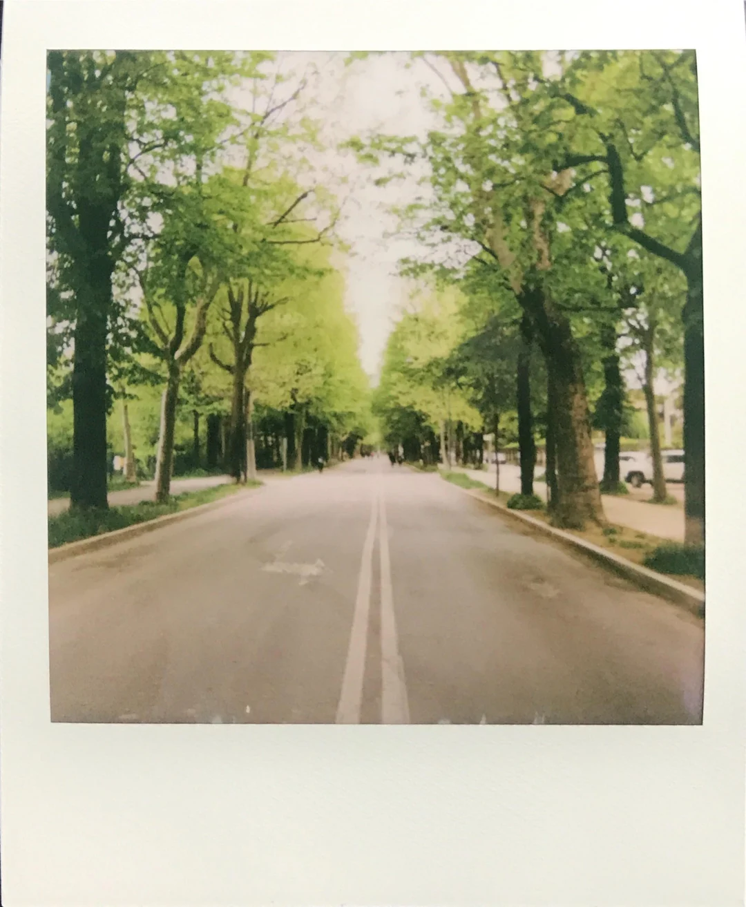 Angels’ boulevard | Scrolller