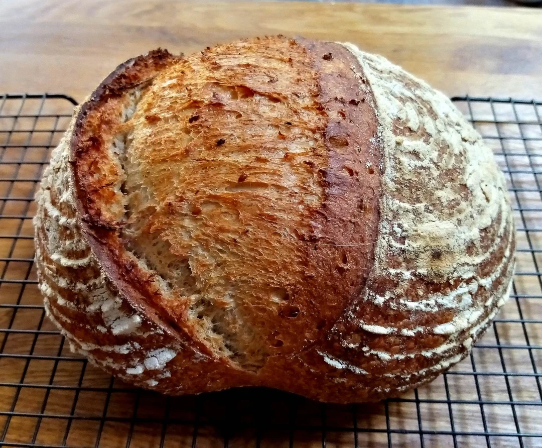Discover more like Breadit: White & wholemeal sourdough with malt extract, rye flakes and ...