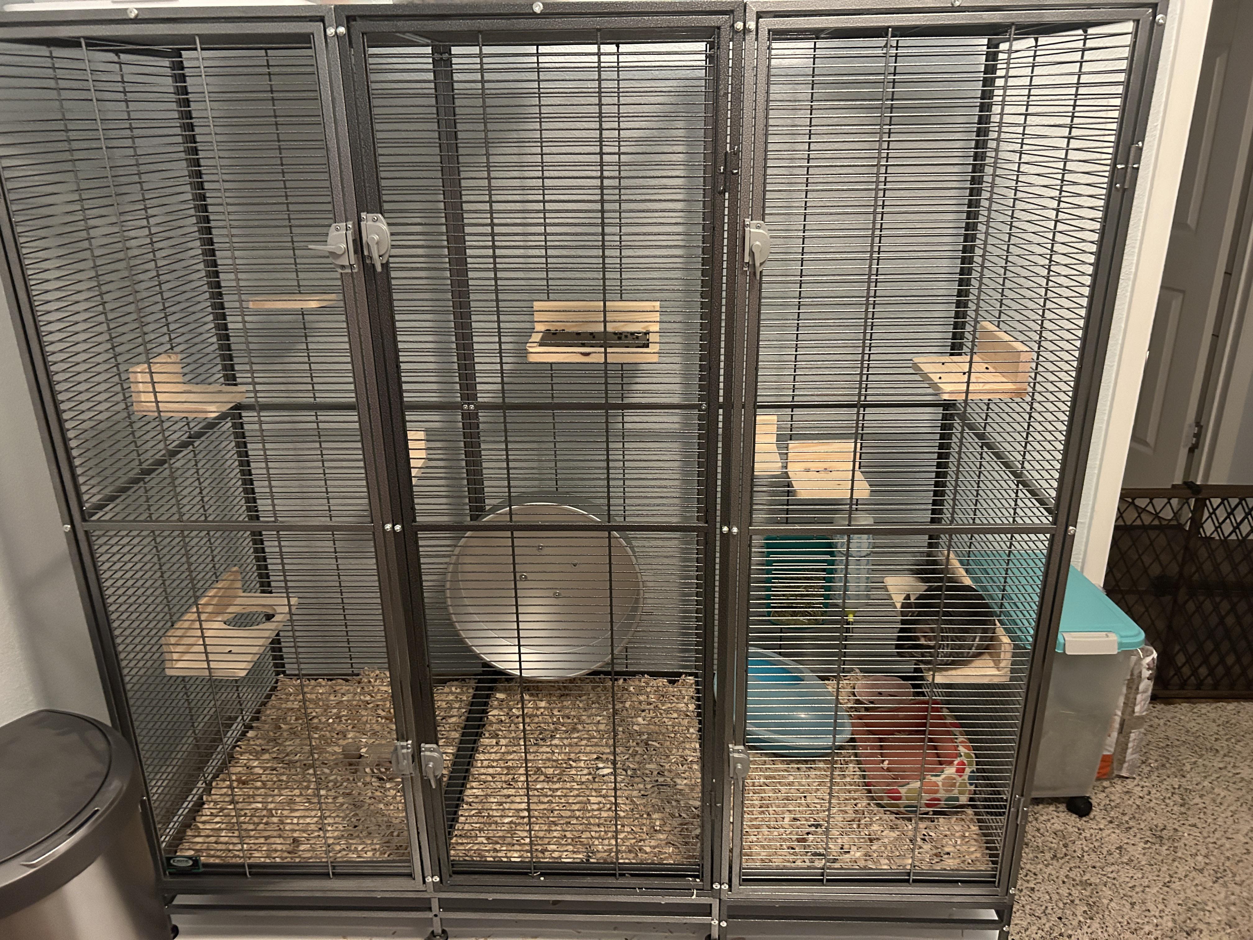 New cage setup (for now) | Scrolller