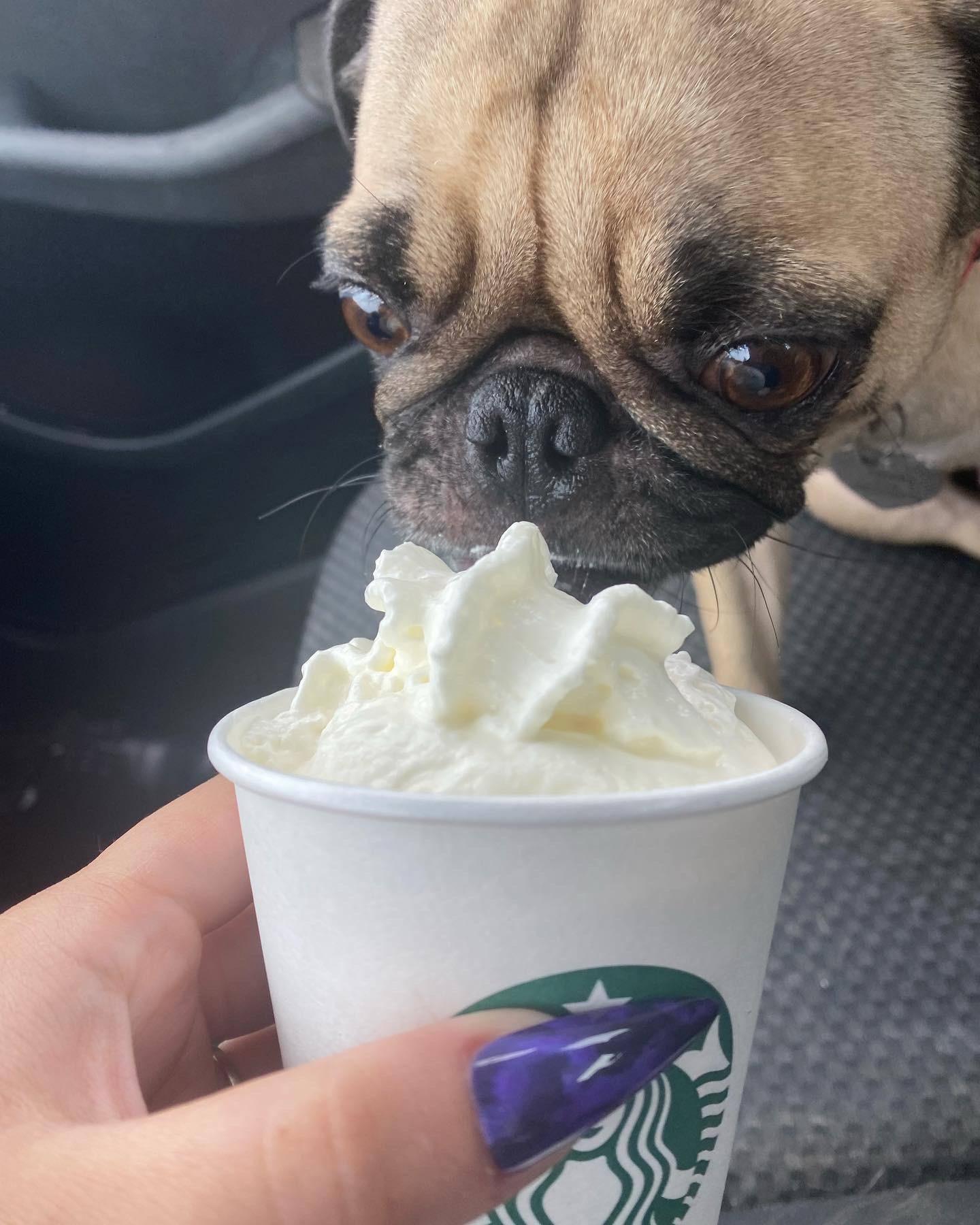 Peppa Pog | Scrolller