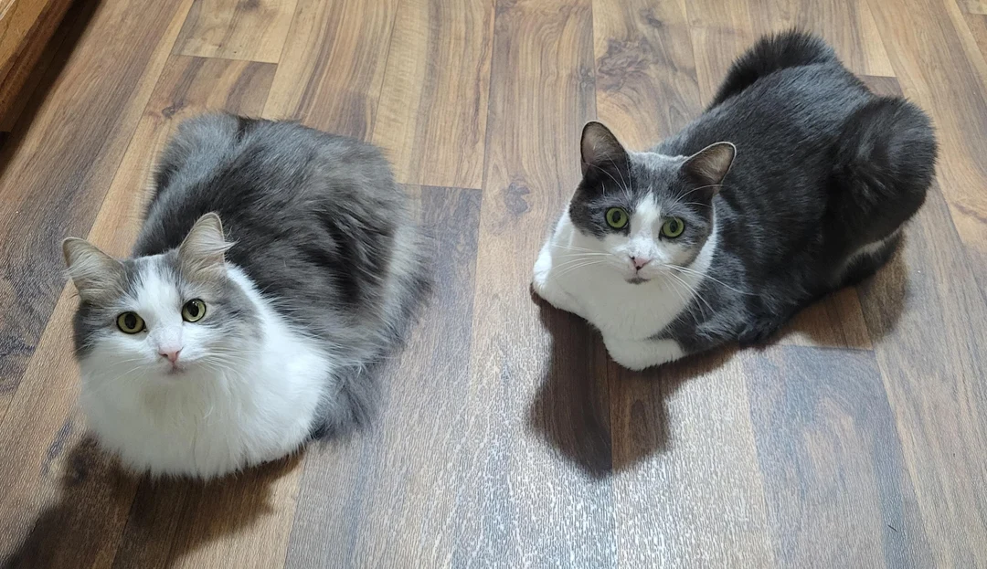My two loaves | Scrolller