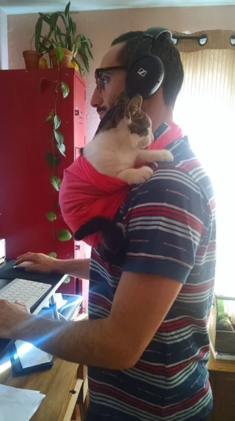 Leveling up my gaming skills while my purrfect sidekick keeps me company | Scrolller