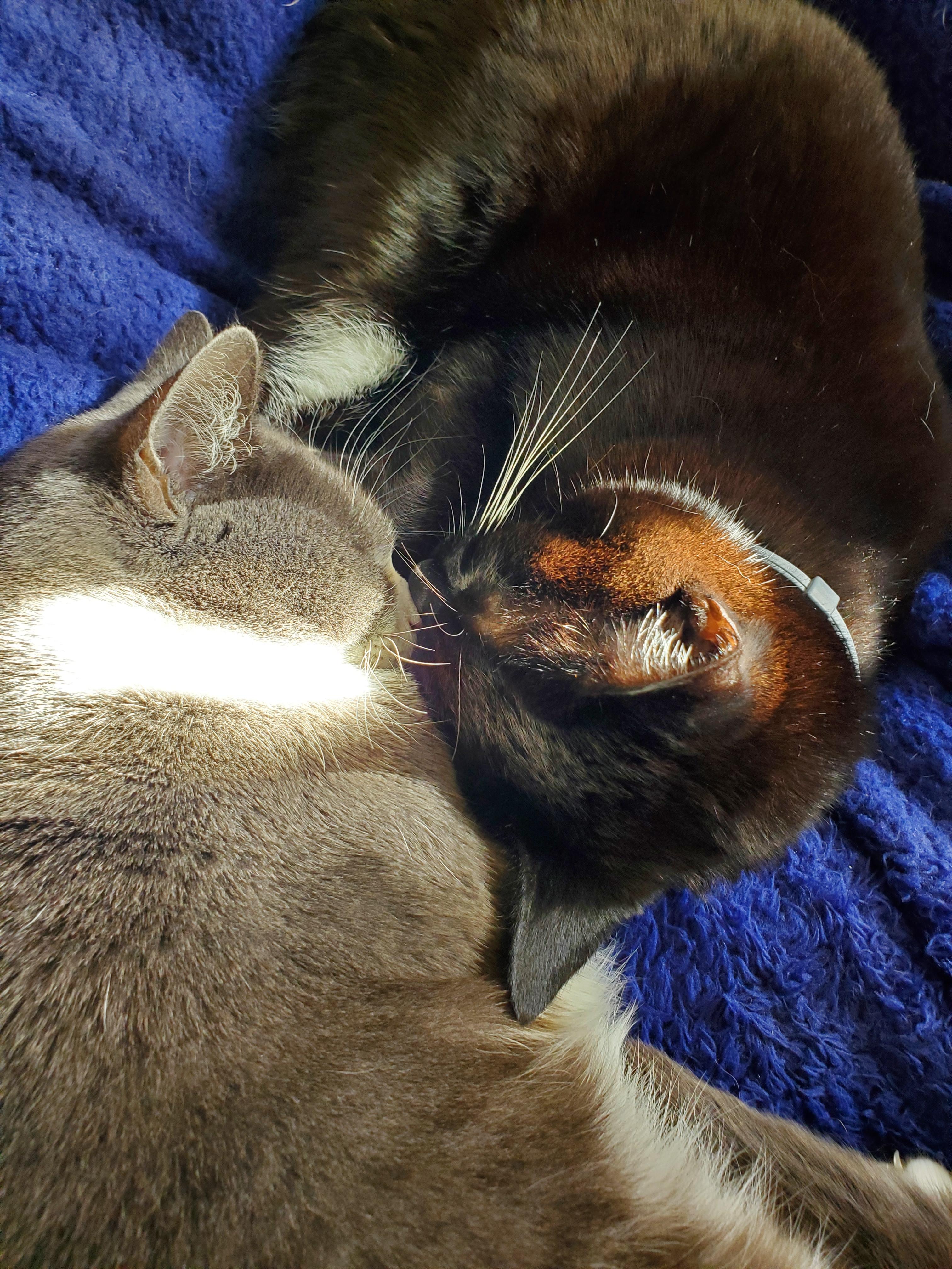 Bffs Lady Billy and Gas Station | Scrolller