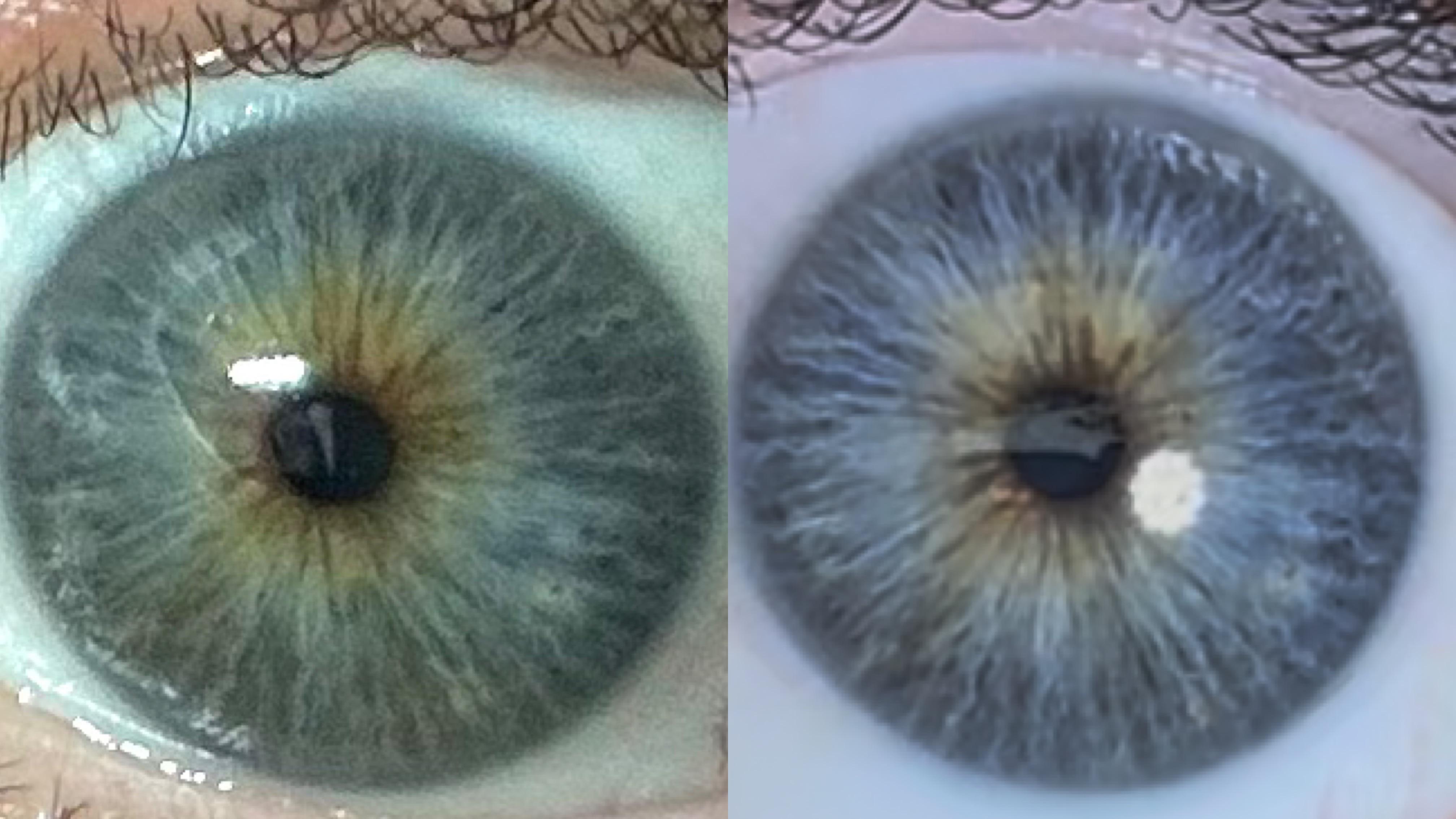 Change colors? | Scrolller