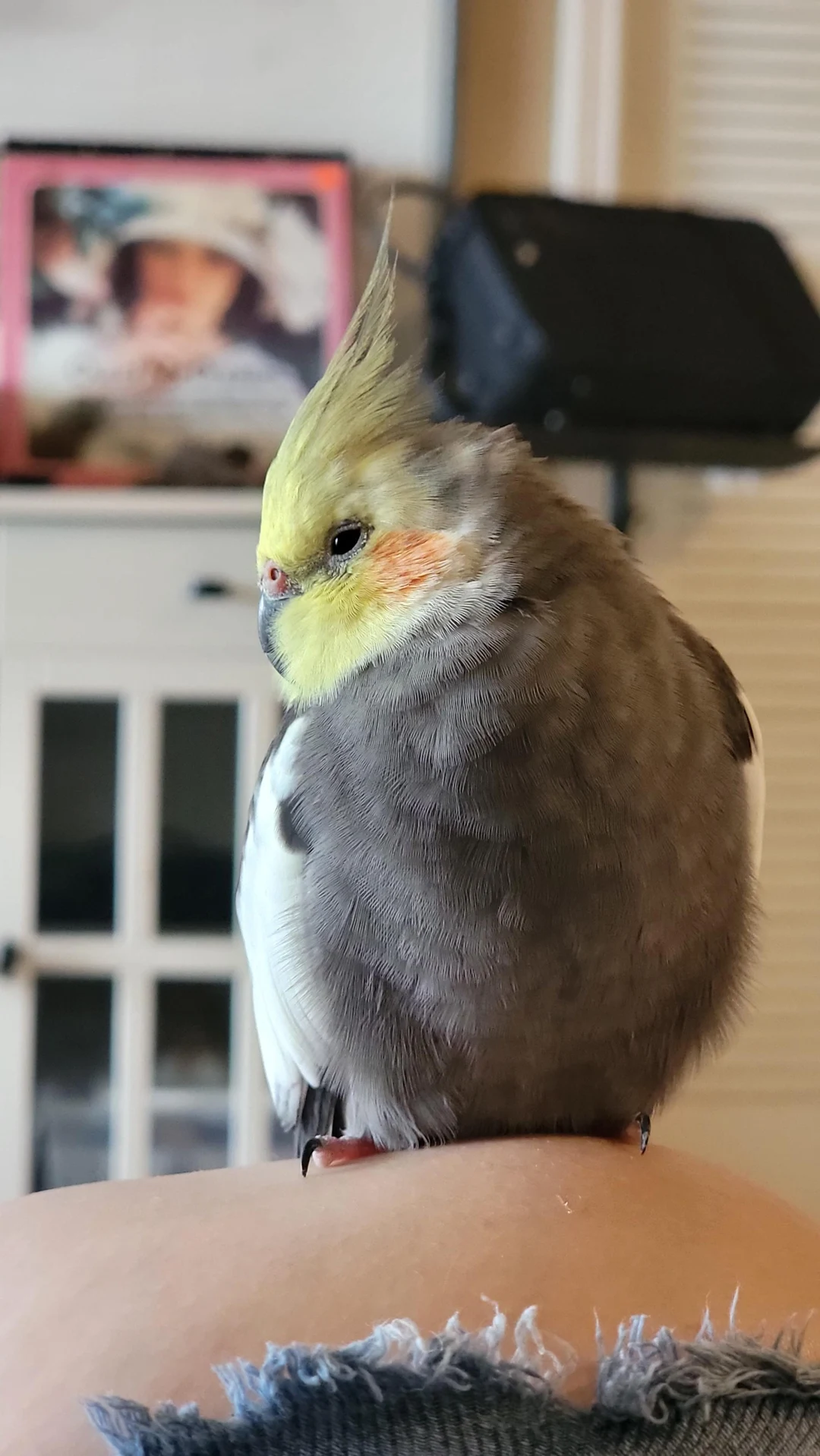 Helping this most handsome man to learn he is safe | Scrolller