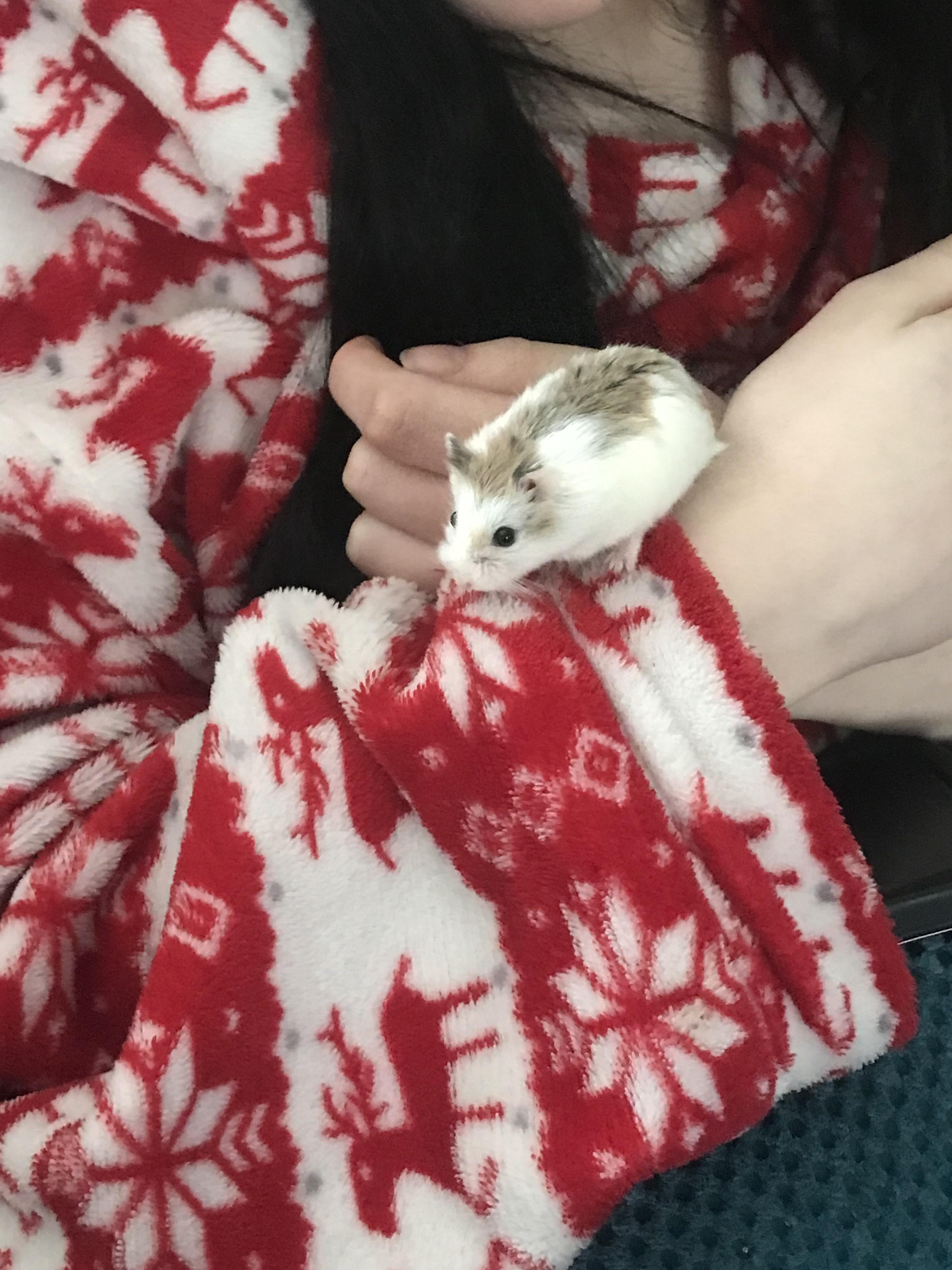 More baby vanilla! | Scrolller