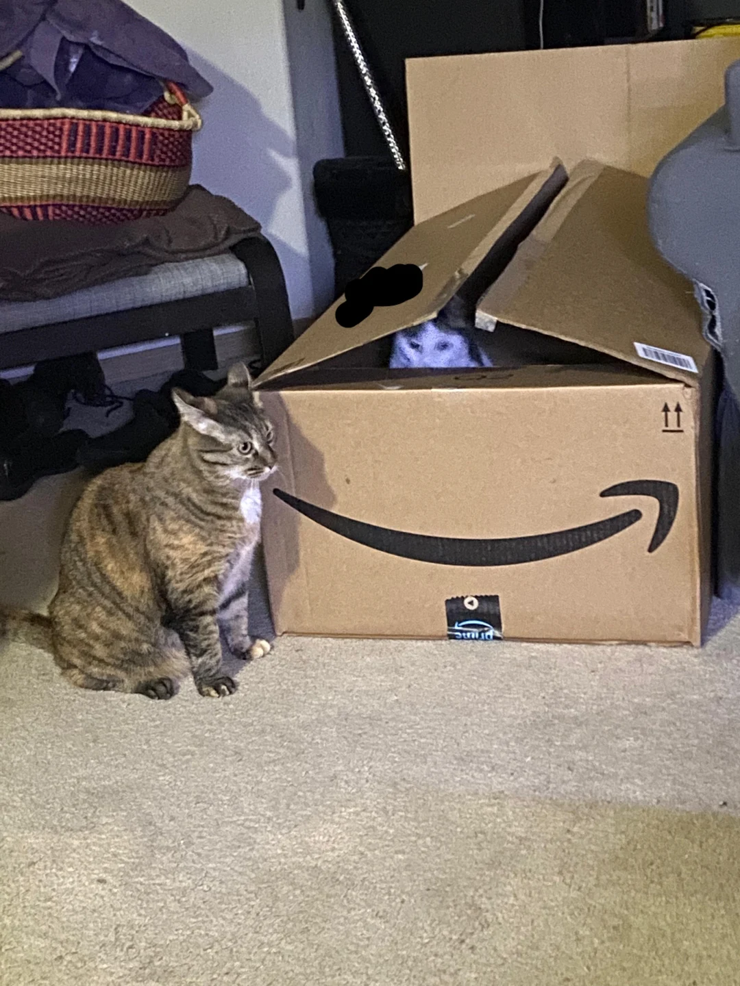 In here we all float…. | Scrolller