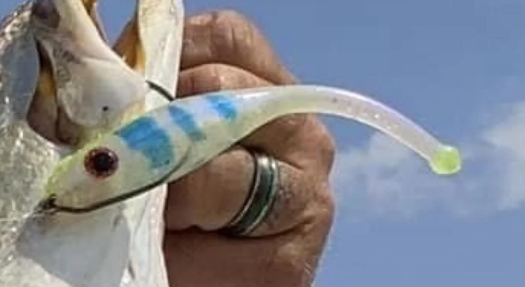 What lure is this? | Scrolller