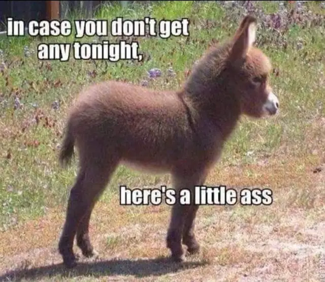 Just in case | Scrolller