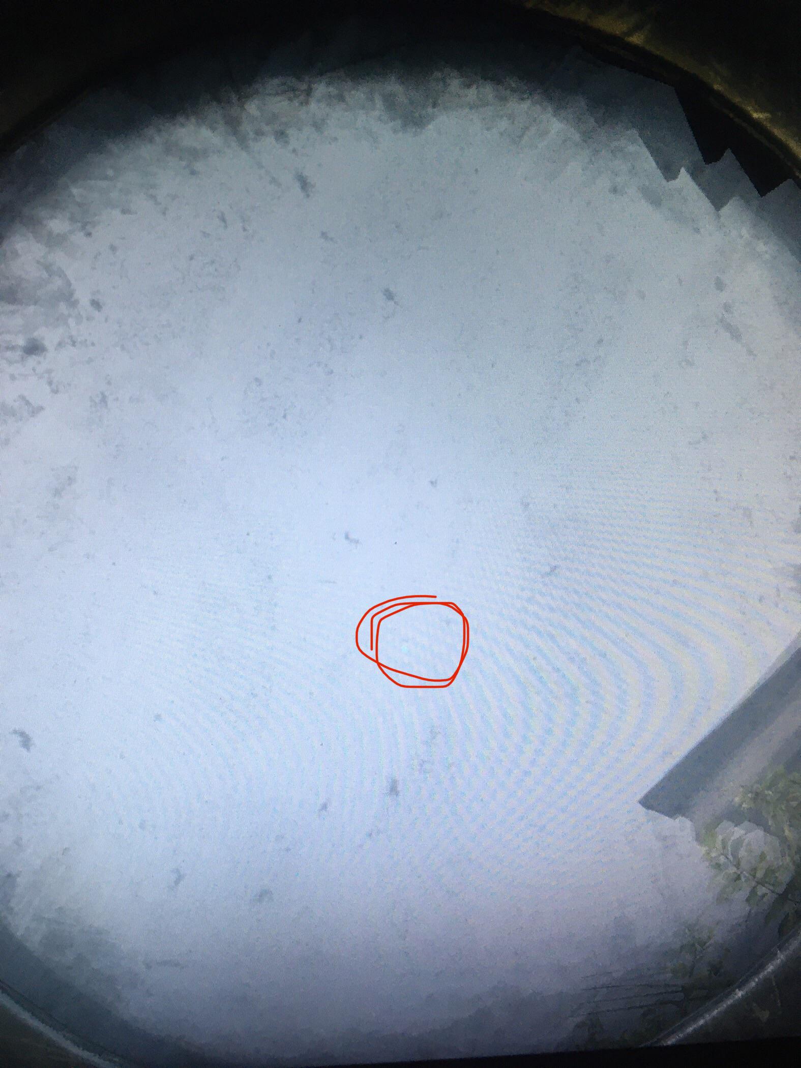 Discover more like HuntShowdown: Update: my friend has gone to heaven. Godspeed. and Related ...