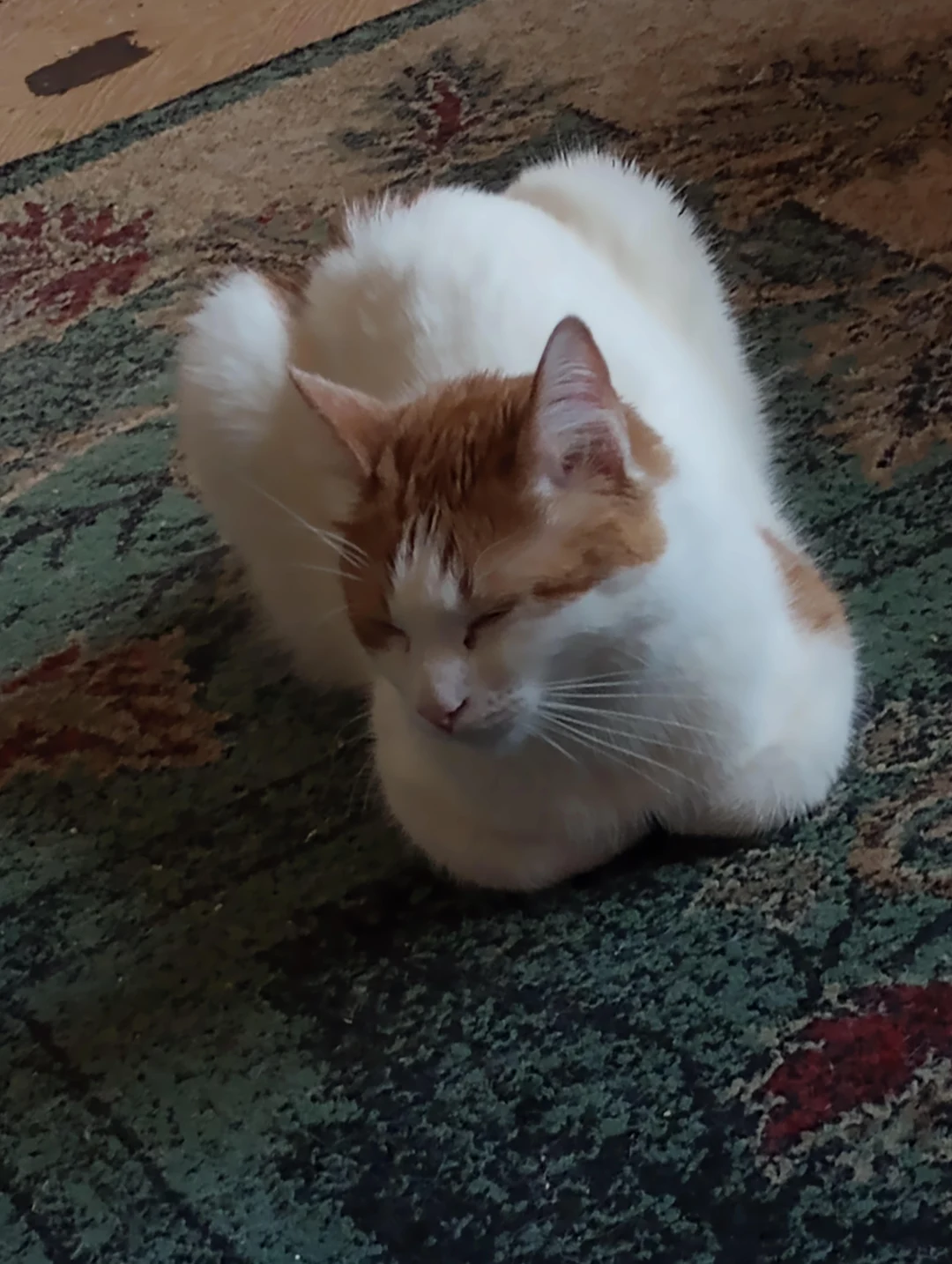 Uncooked loaf. | Scrolller