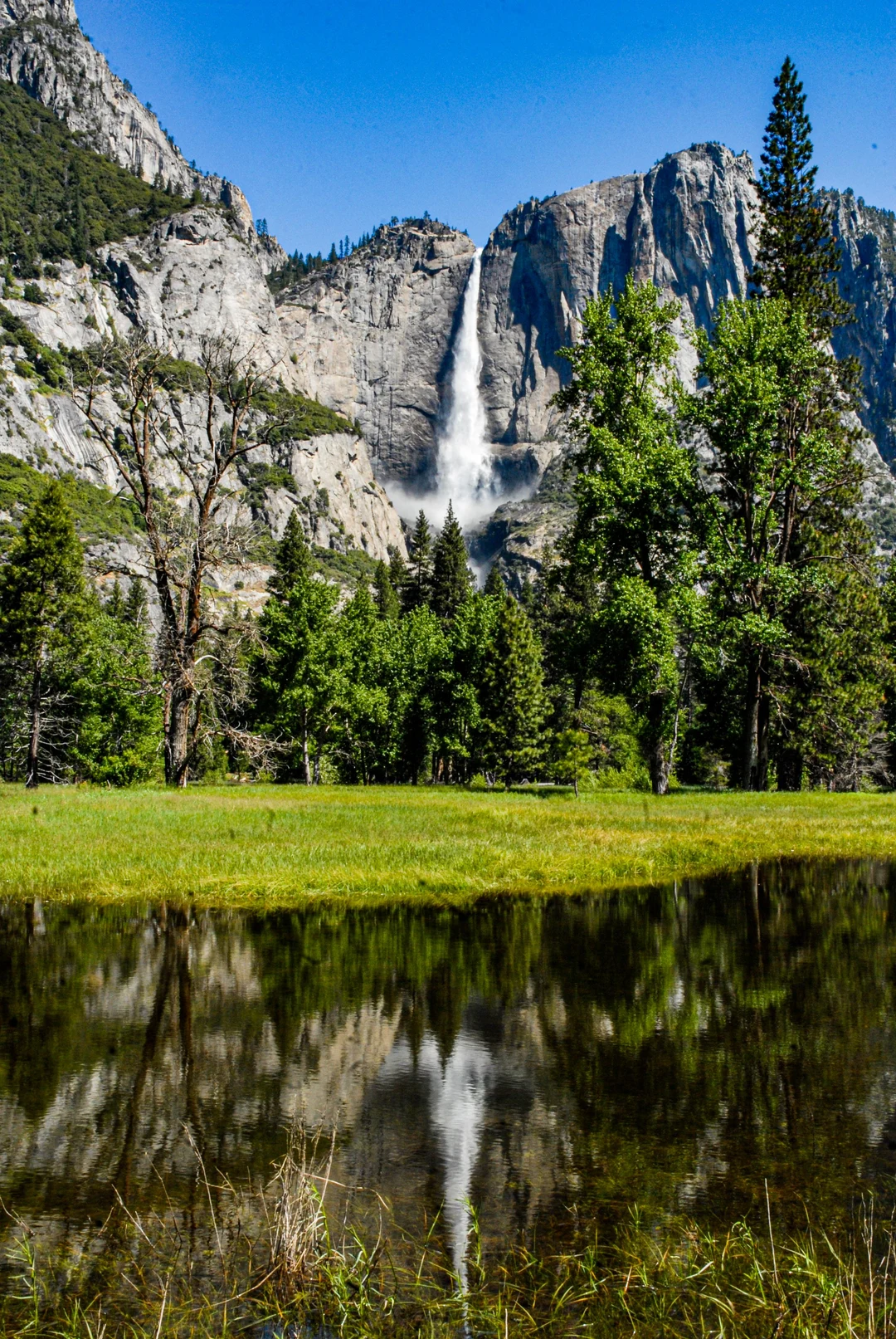 Yosemite Falls [OC] 2592x3872 | Scrolller