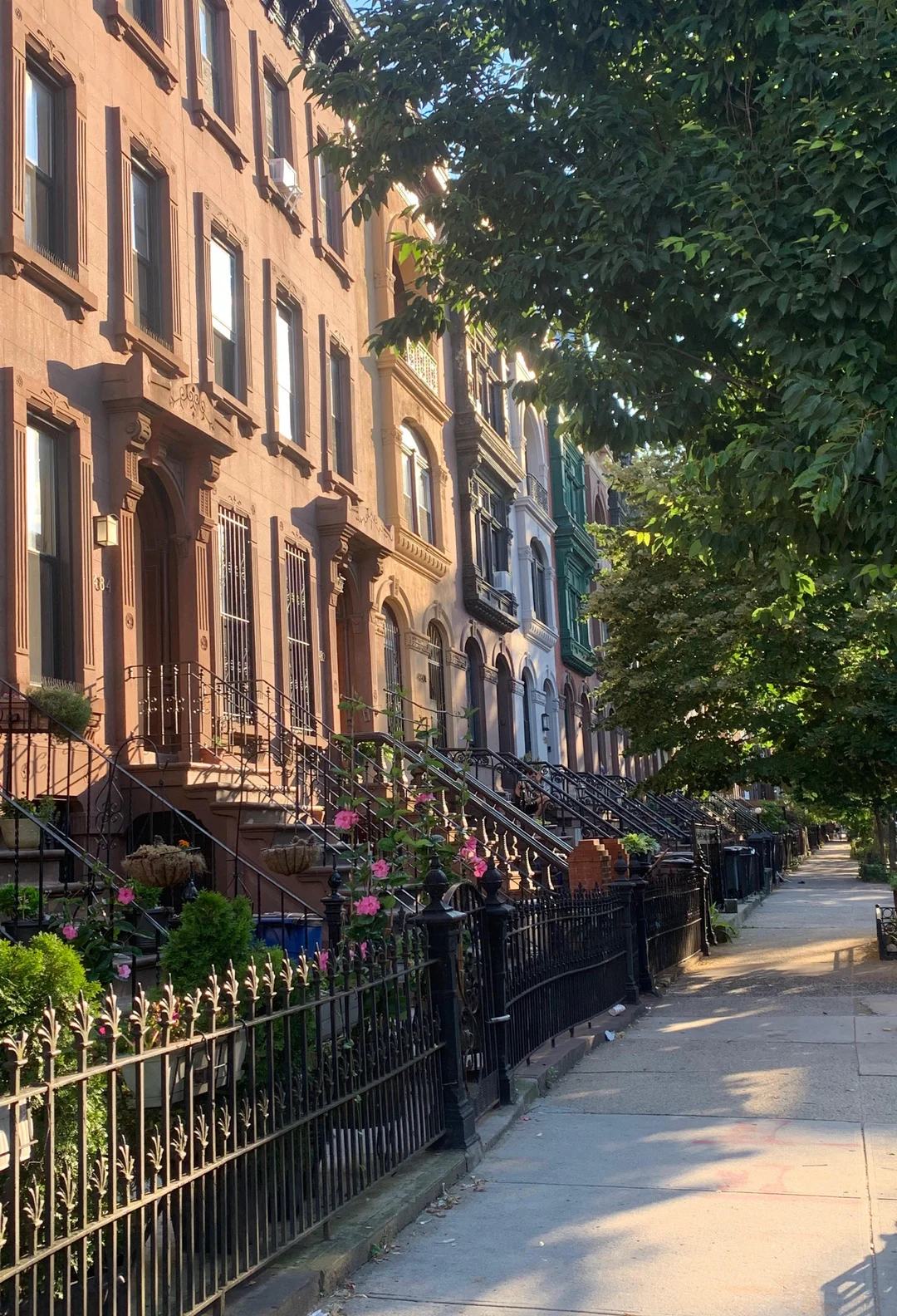 Brownstones in Bed-Stuy, Brooklyn | Scrolller