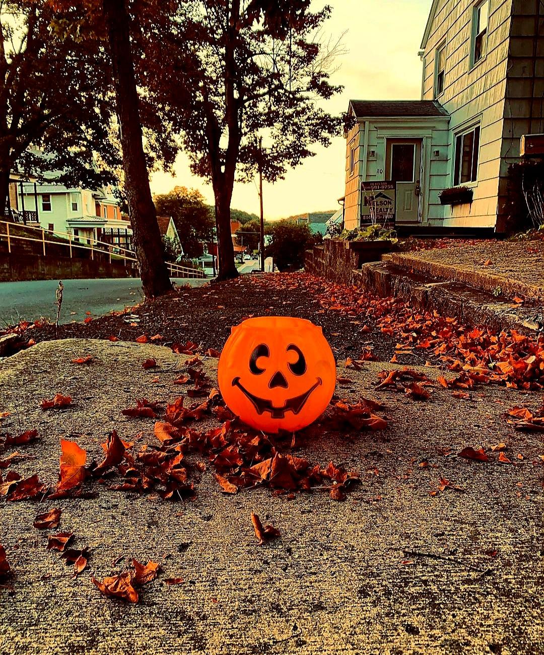 Fall has begun | Scrolller