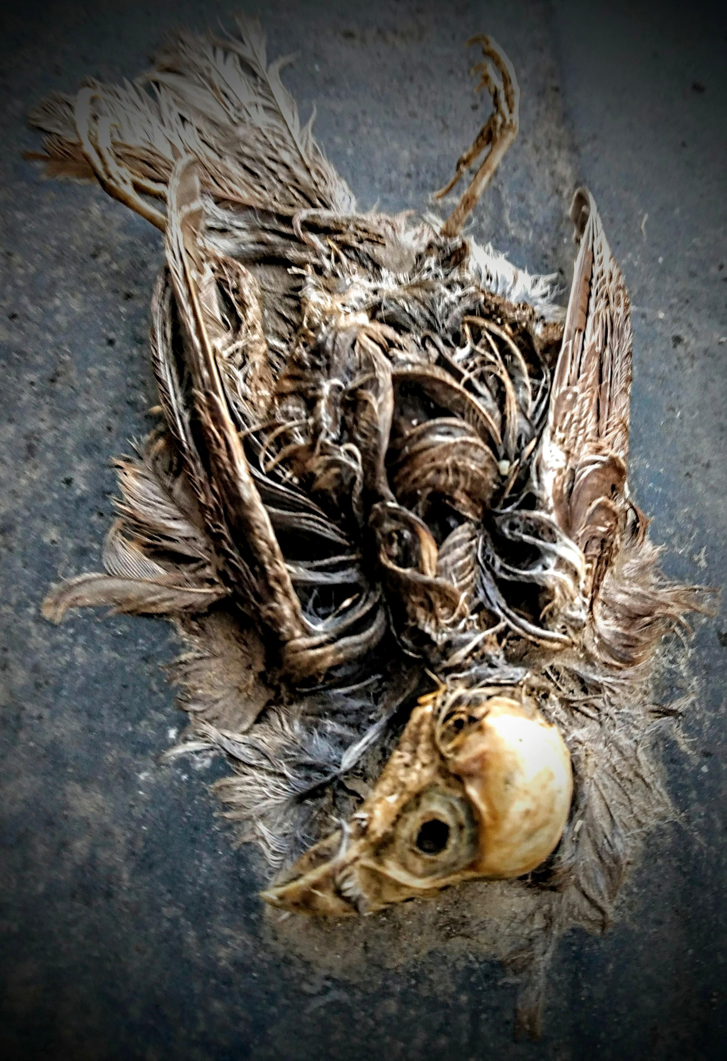 Just the beginning.... | Scrolller