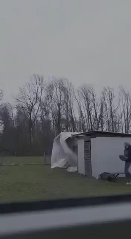 Gone with the Wind | Scrolller