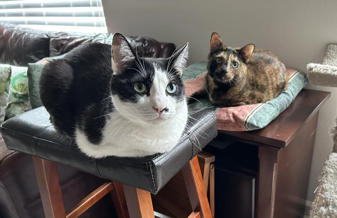 Double loaves! | Scrolller