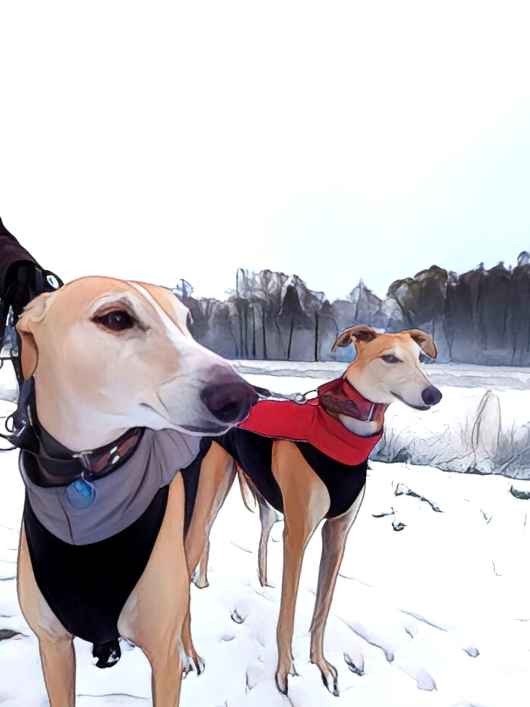 Giant & Lito in the April snow | Scrolller