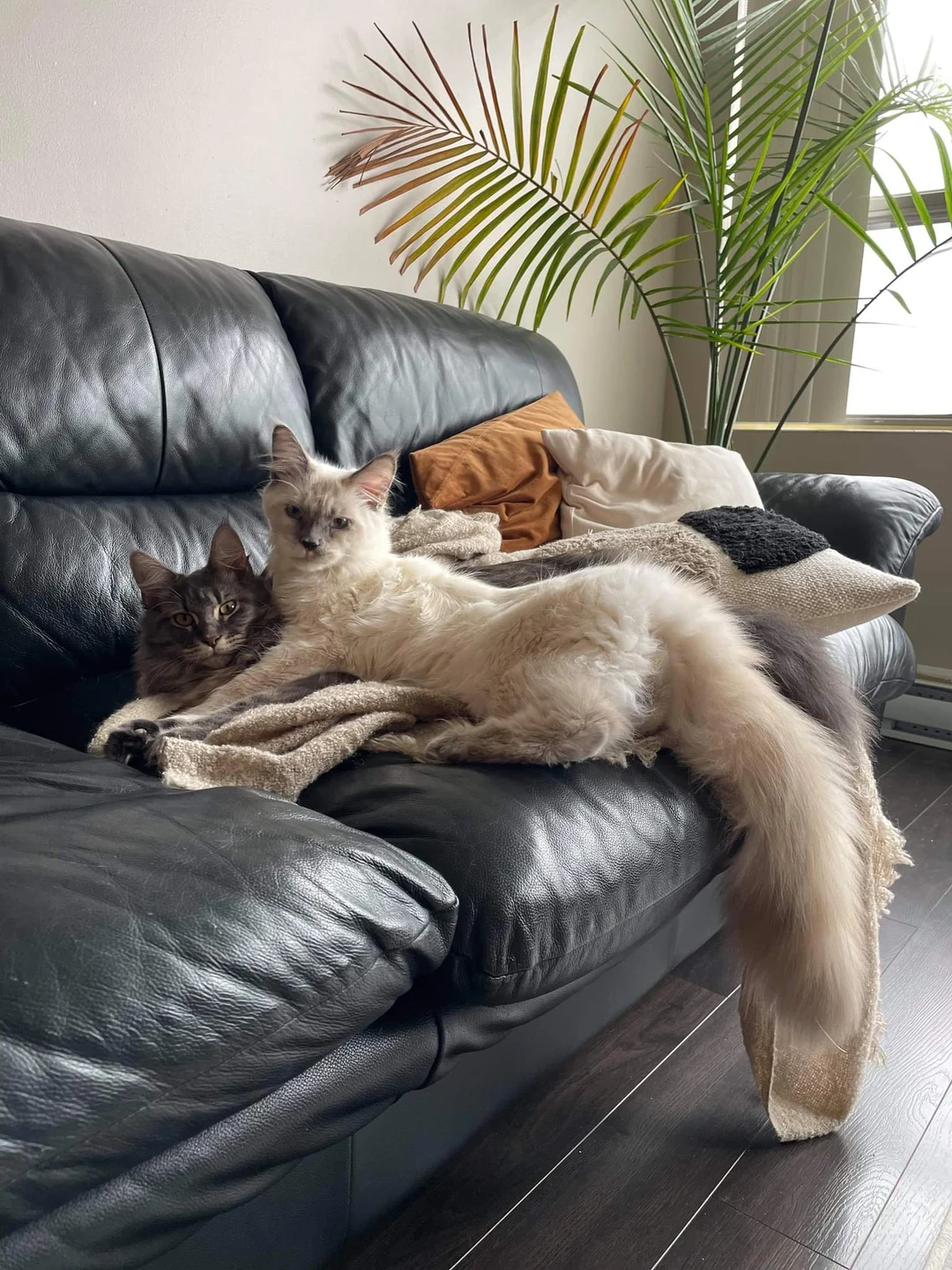 Sister from another mister! | Scrolller